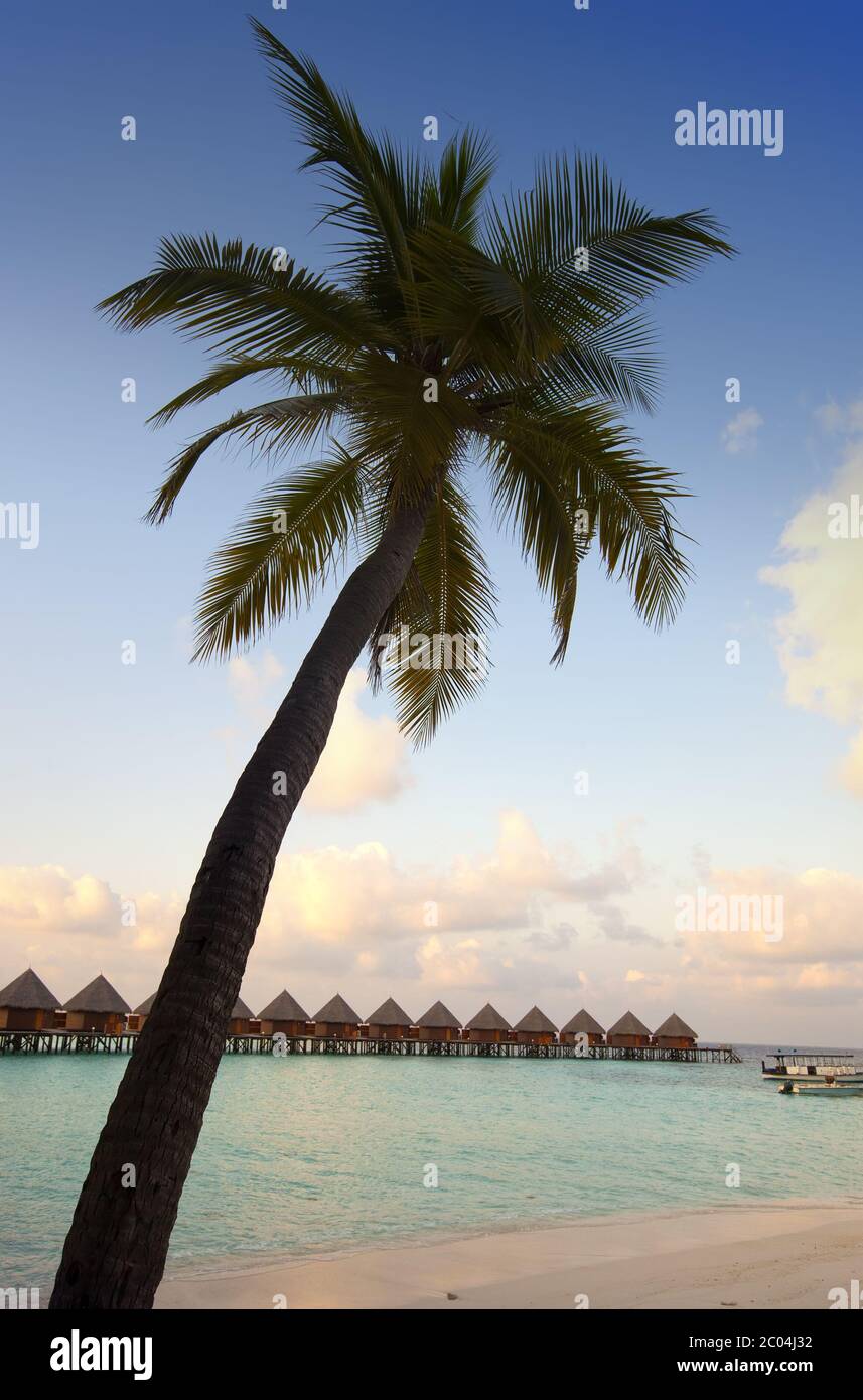 Palm huts hi-res stock photography and images - Alamy