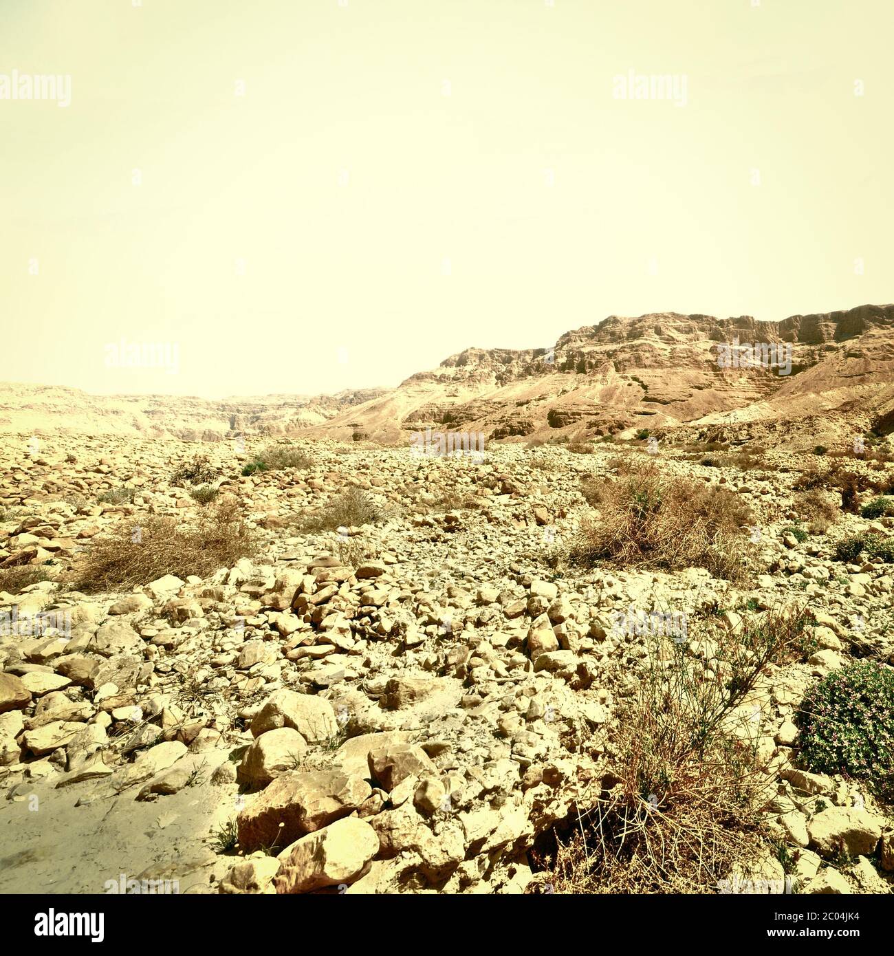 Dry ston hi-res stock photography and images - Alamy