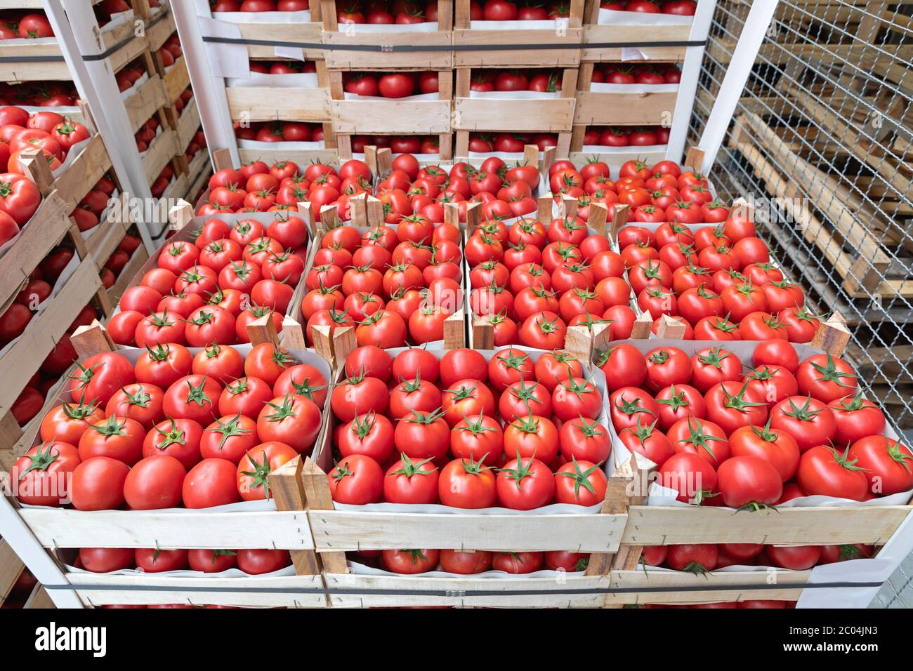 Crates of red tomato in warehouse storage hi-res stock photography and ...