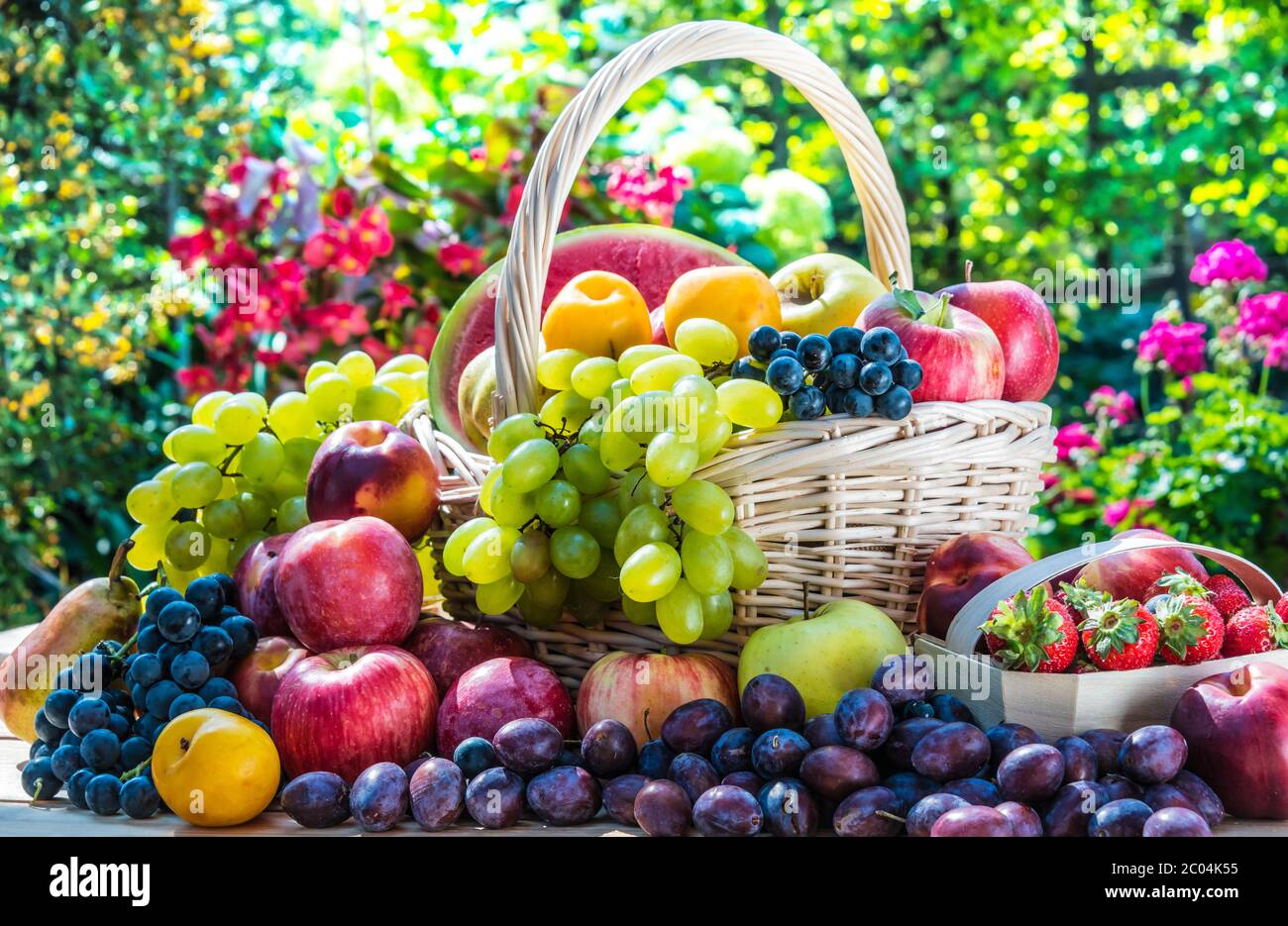Variety of fresh ripe fruits in the garden. Balanced diet Stock Photo ...