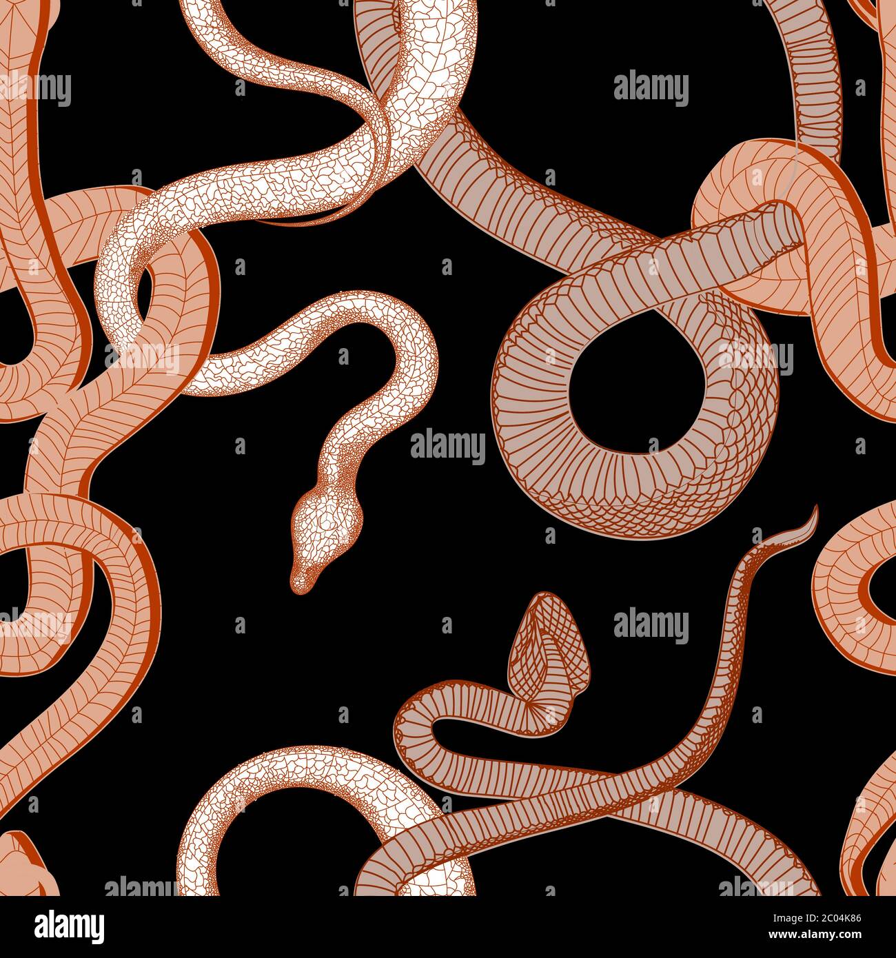 Snake exotic pattern. Snake skin. Vector illustration. Reptiles ...