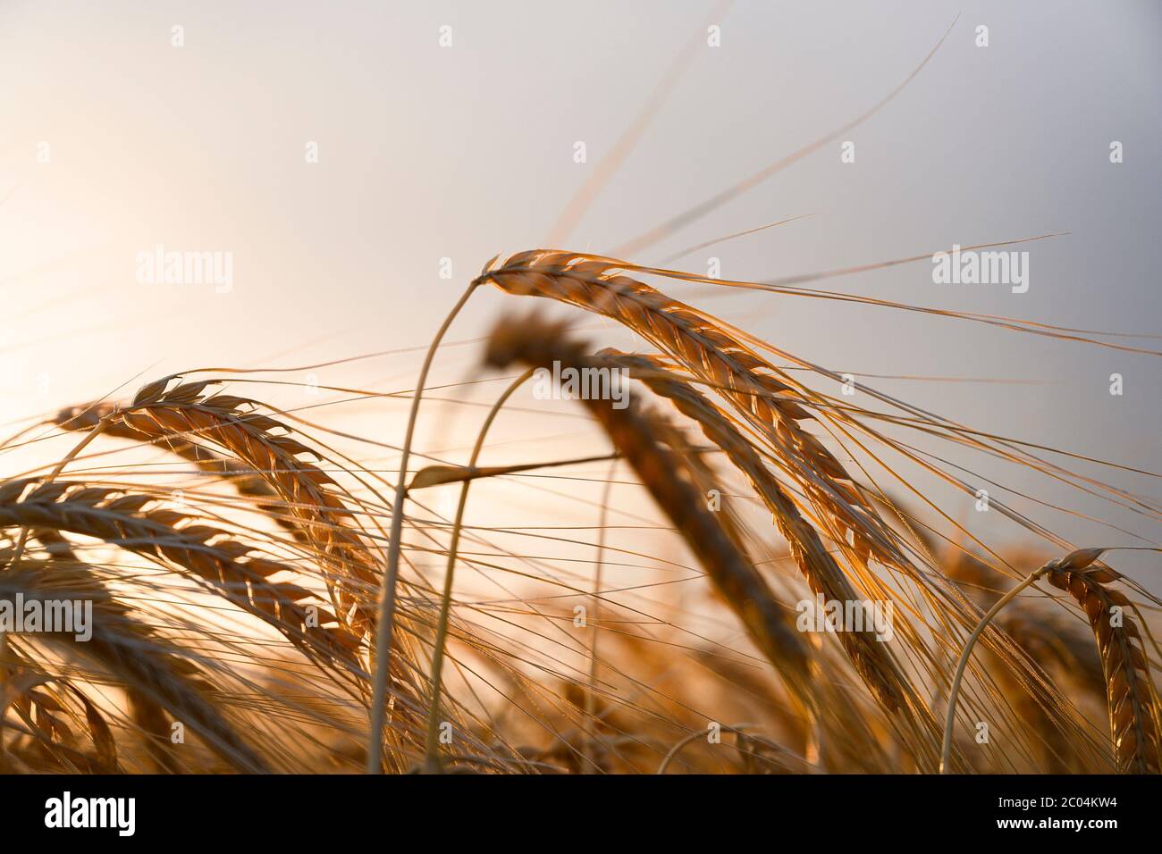 Darkening land hi-res stock photography and images - Alamy