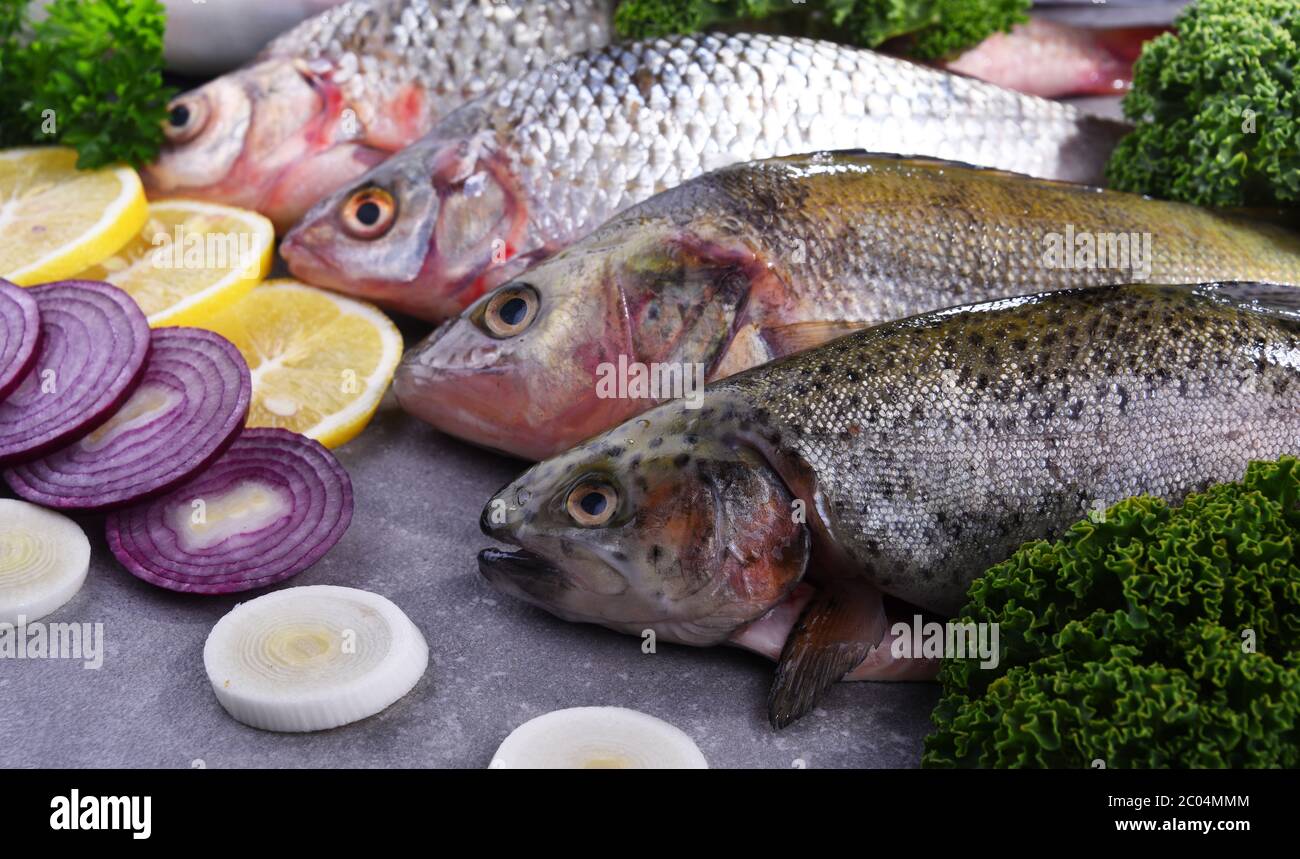 All sorts of fish hi-res stock photography and images - Alamy