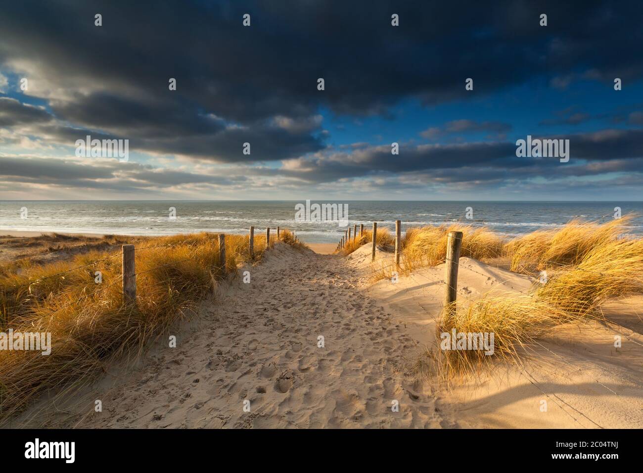 sunshine over sand path to sand beach Stock Photo - Alamy