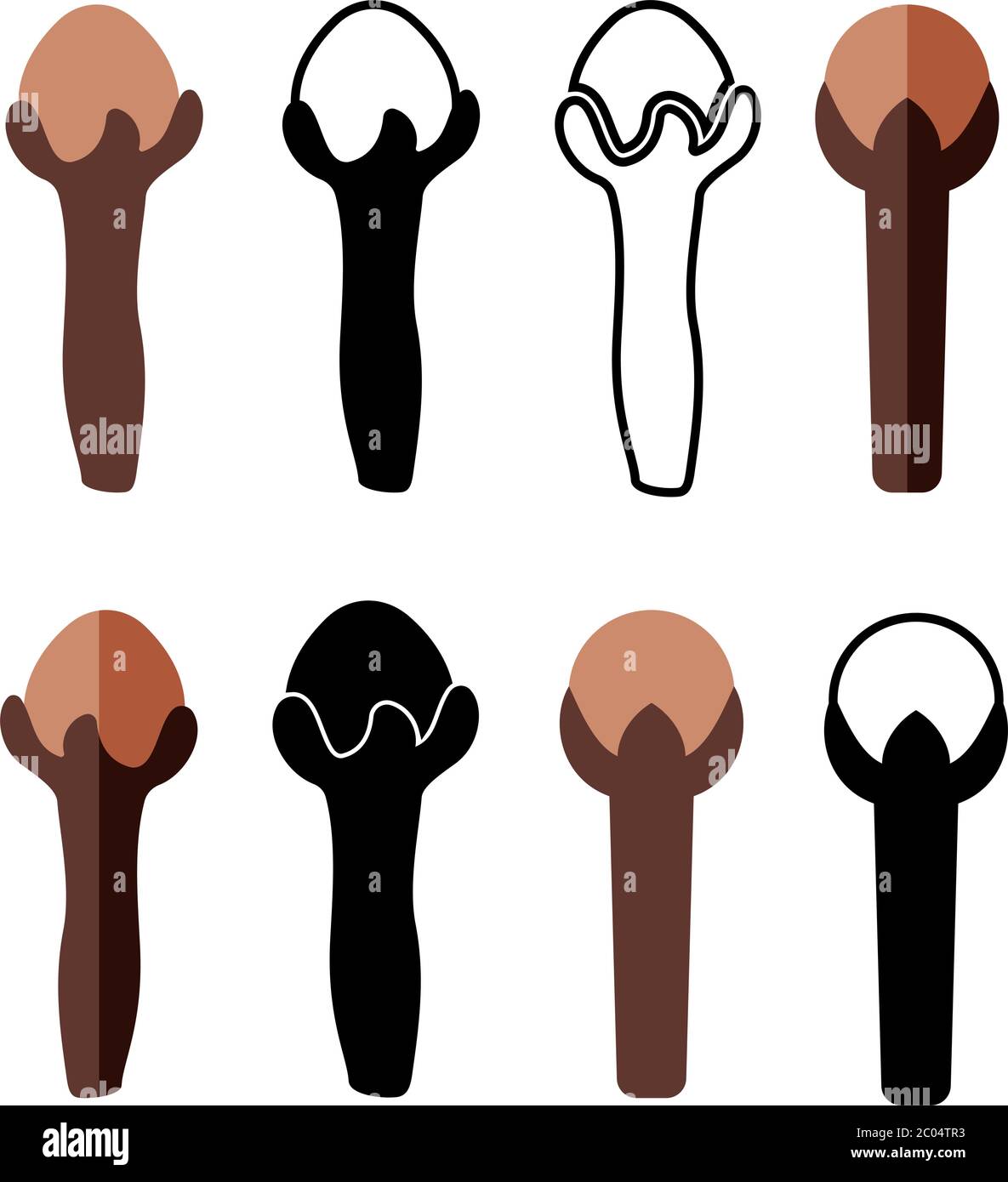 Clove Icon, Aromatic Flower Buds used as Spices. Vector Illustration ...