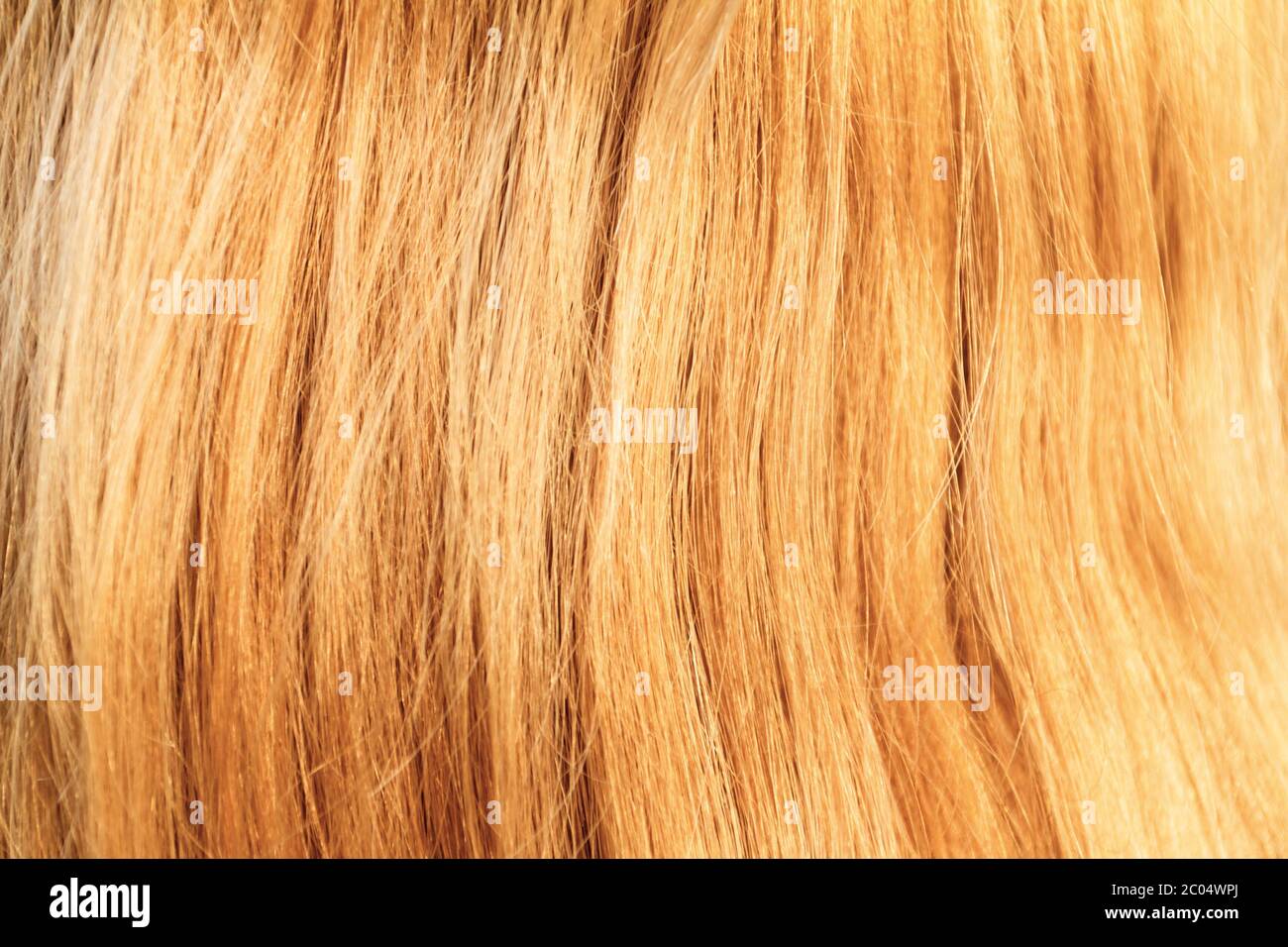 Blonde hair. Blond hair texture - closeup photo Stock Photo - Alamy