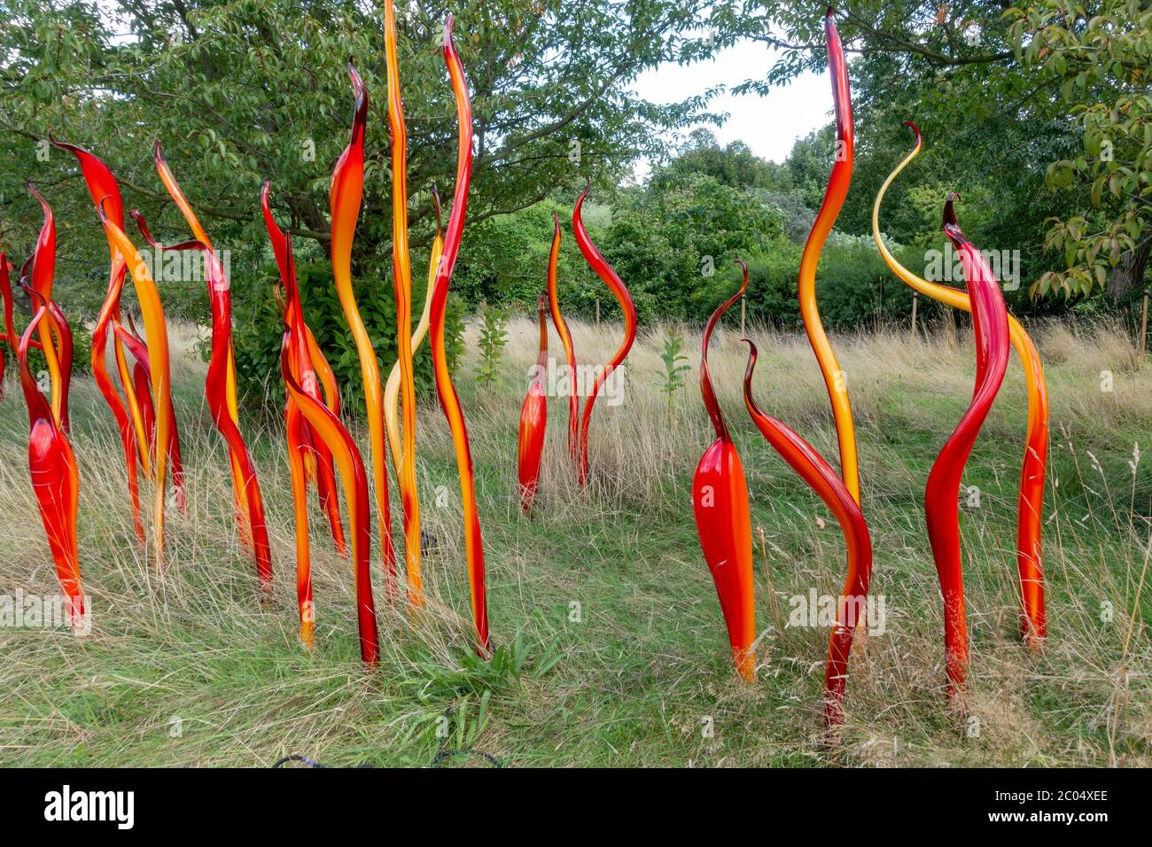 'Cattails and Copper Birch Reeds', a glass sculpture by Dale Chihuly ...