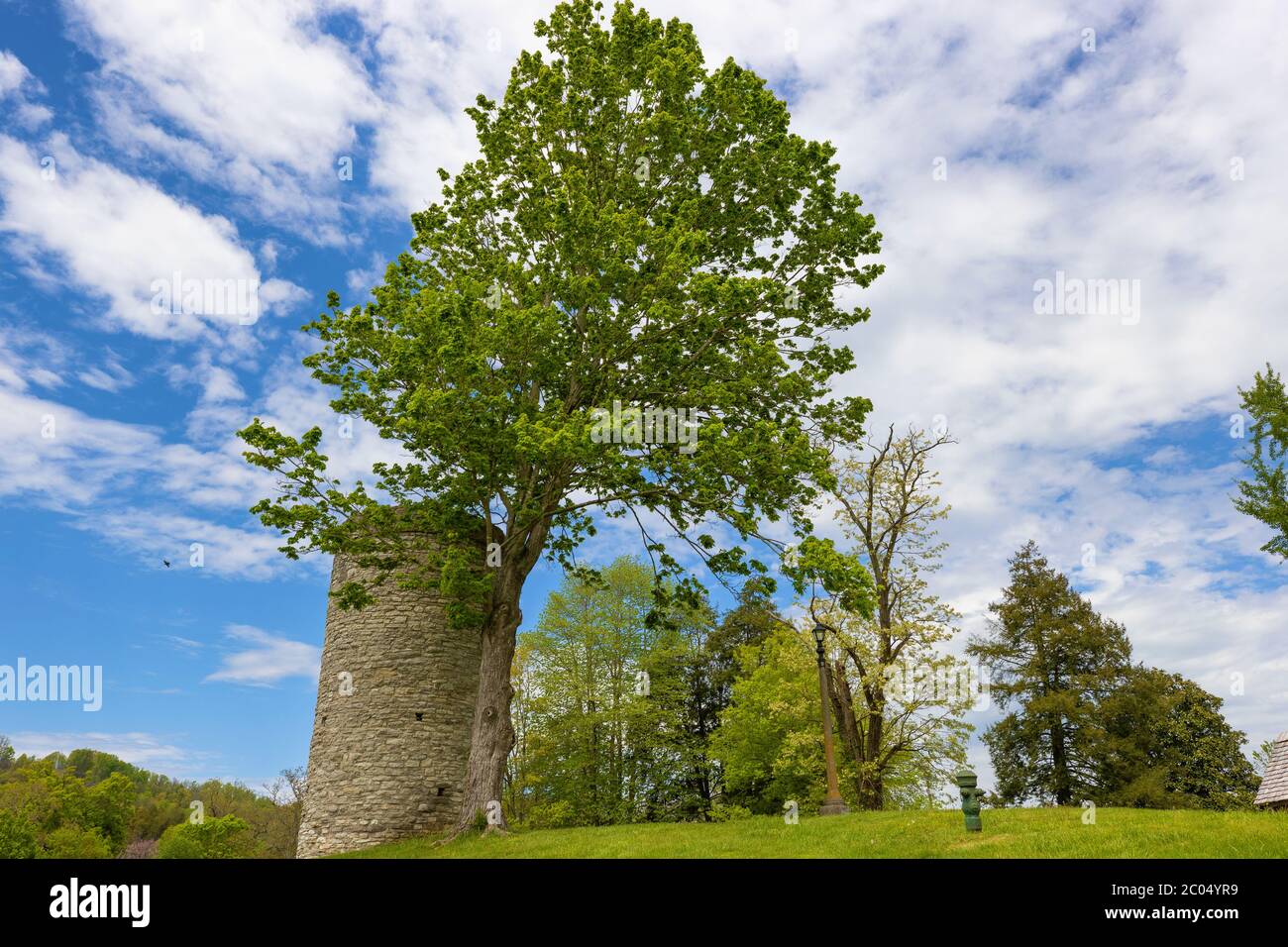 A stone column stands next to a tree in a park like setting on the ...