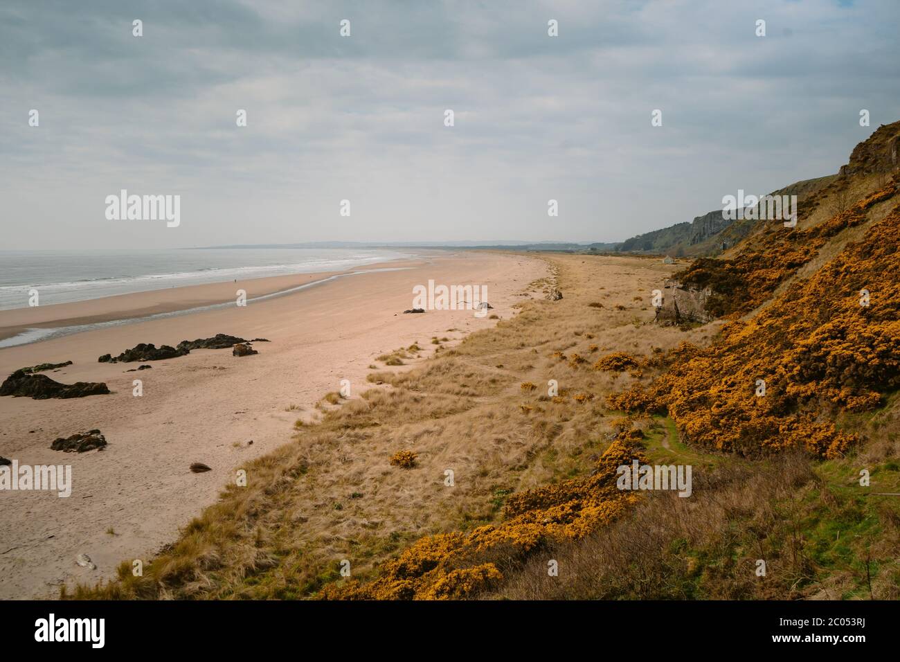 Blossom House High Resolution Stock Photography and Images - Alamy