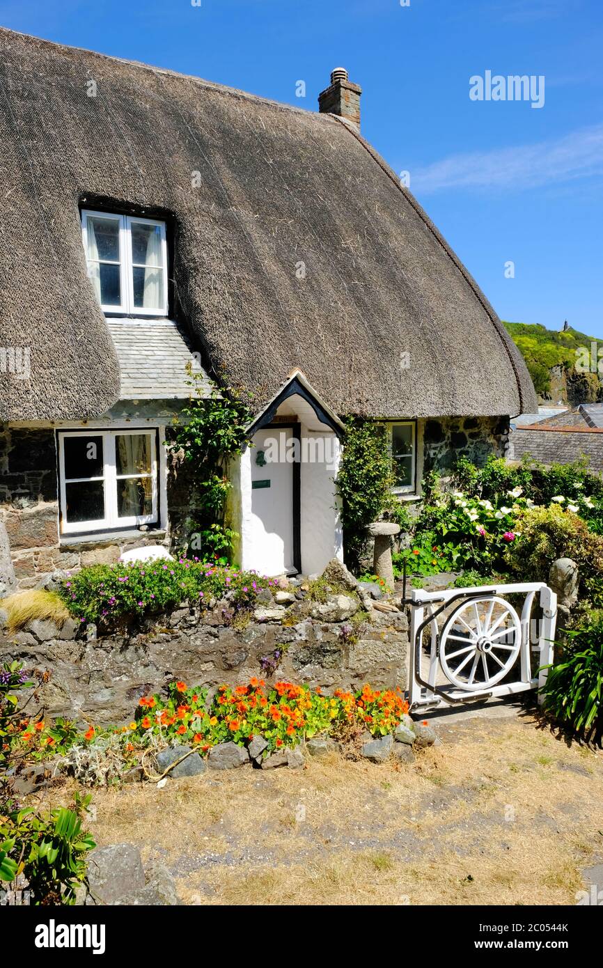 Cornwall thatched cottage roof hi-res stock photography and images - Alamy