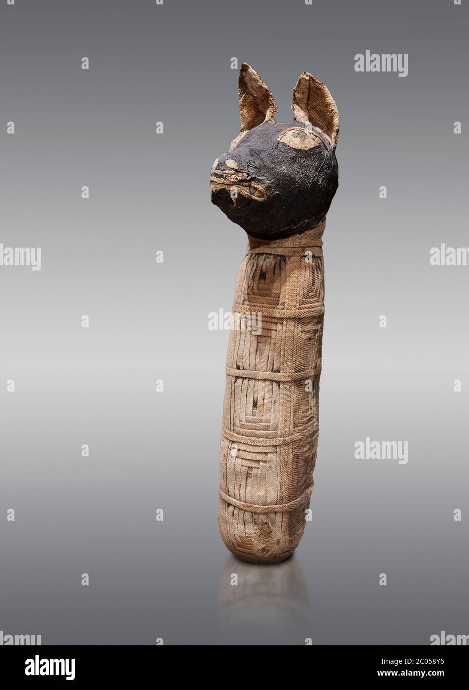 Ancient Egyptian mummy of a canid, linen, Late Period, Ptolomaic Perios ...