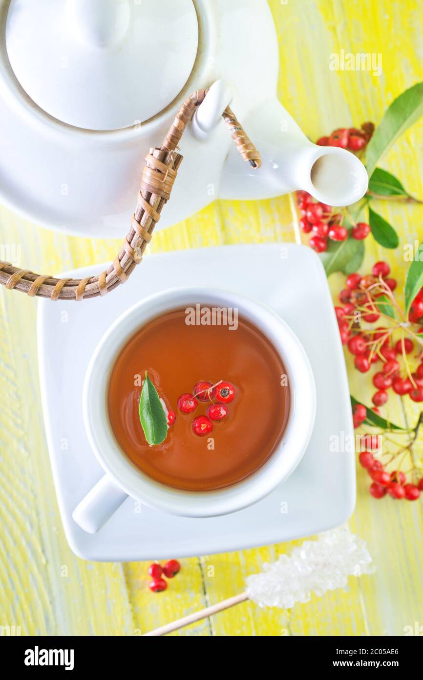 Phytotea hi-res stock photography and images - Alamy