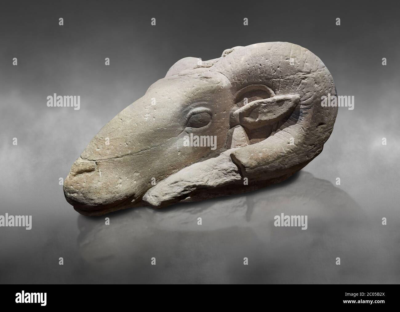 Ancient Egyptian sculpture of the head of a criosphinx, sandstone, New ...