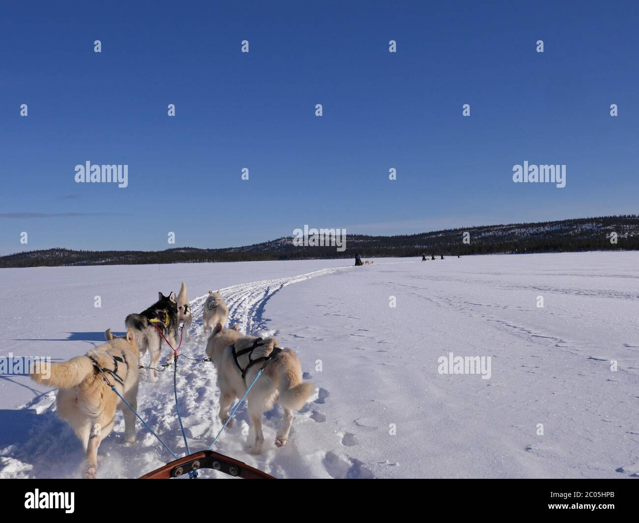 Sled ride finland hi-res stock photography and images - Alamy