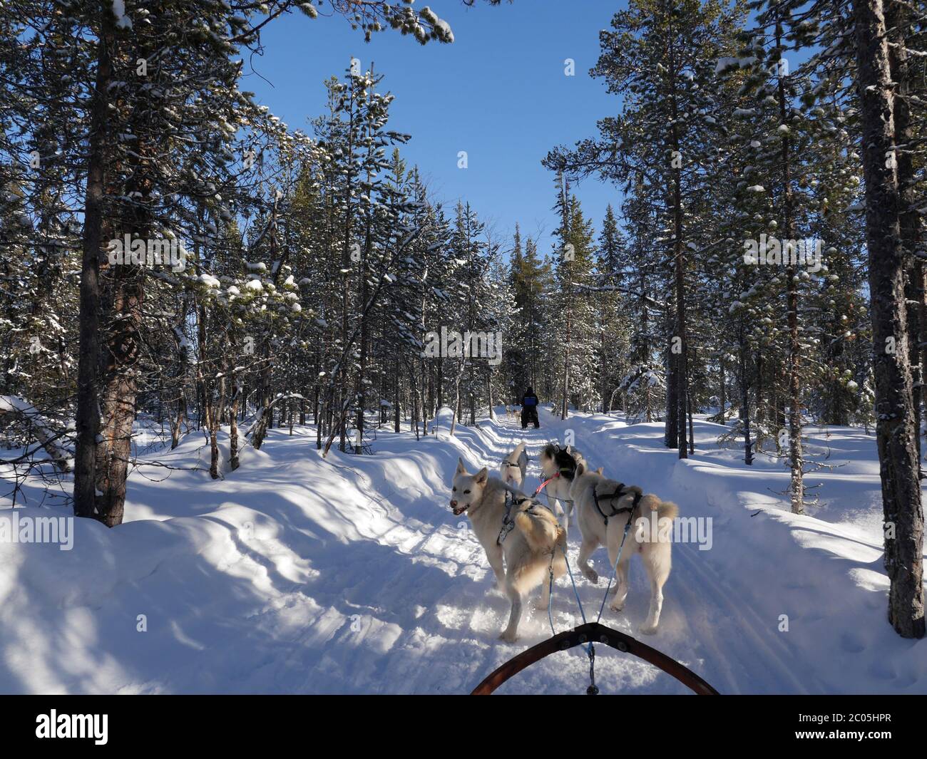 Sled ride finland hi-res stock photography and images - Alamy