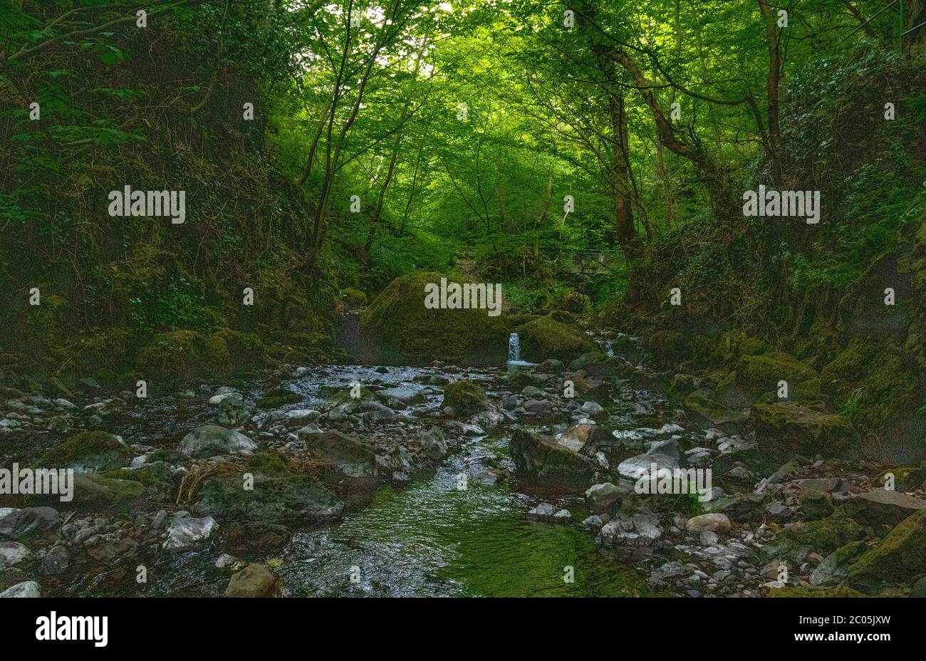 Alva Glen and the Ochil Hills, Stirling, Scotland Stock Photo - Alamy