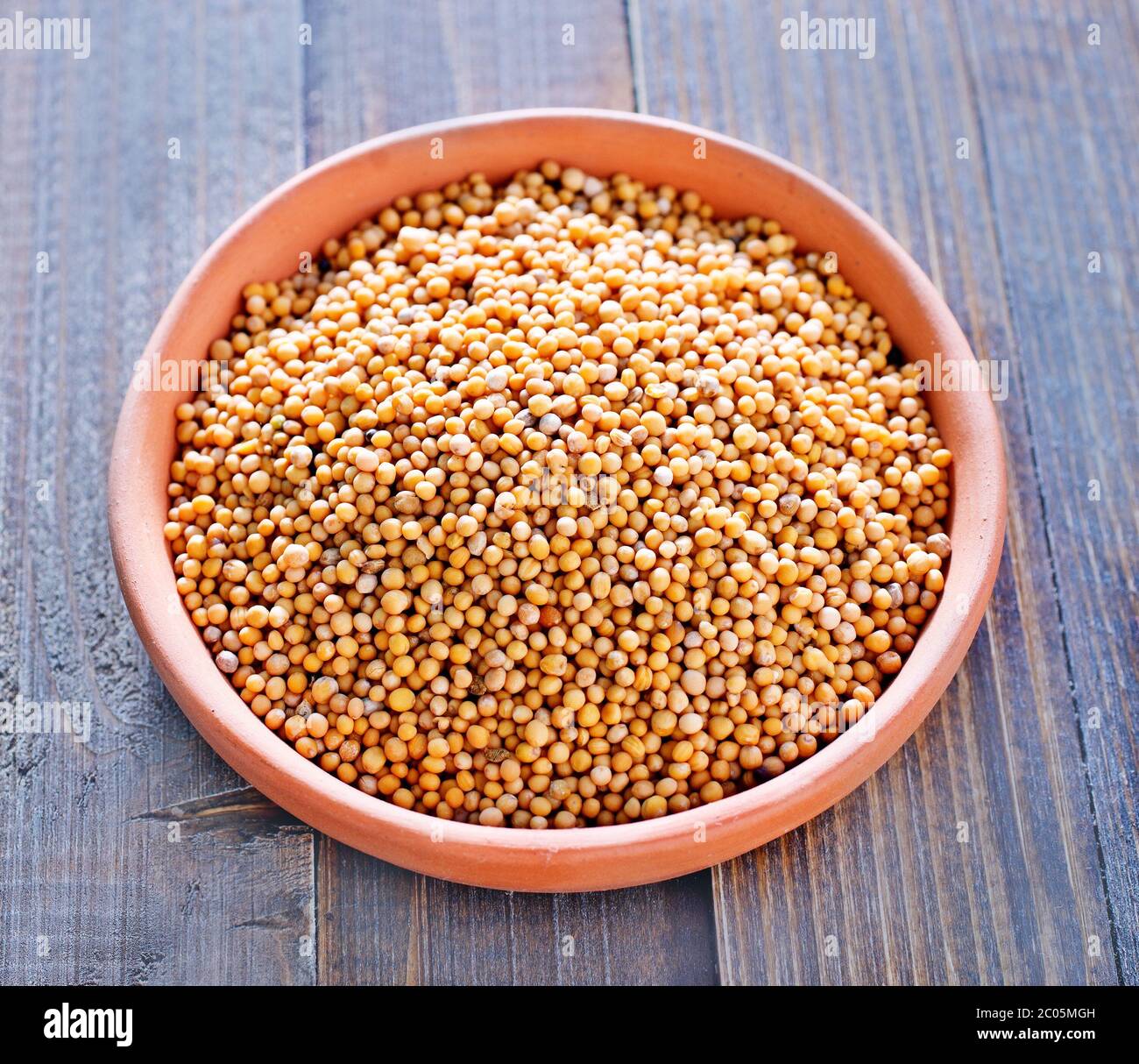 Musta plant hi-res stock photography and images - Alamy