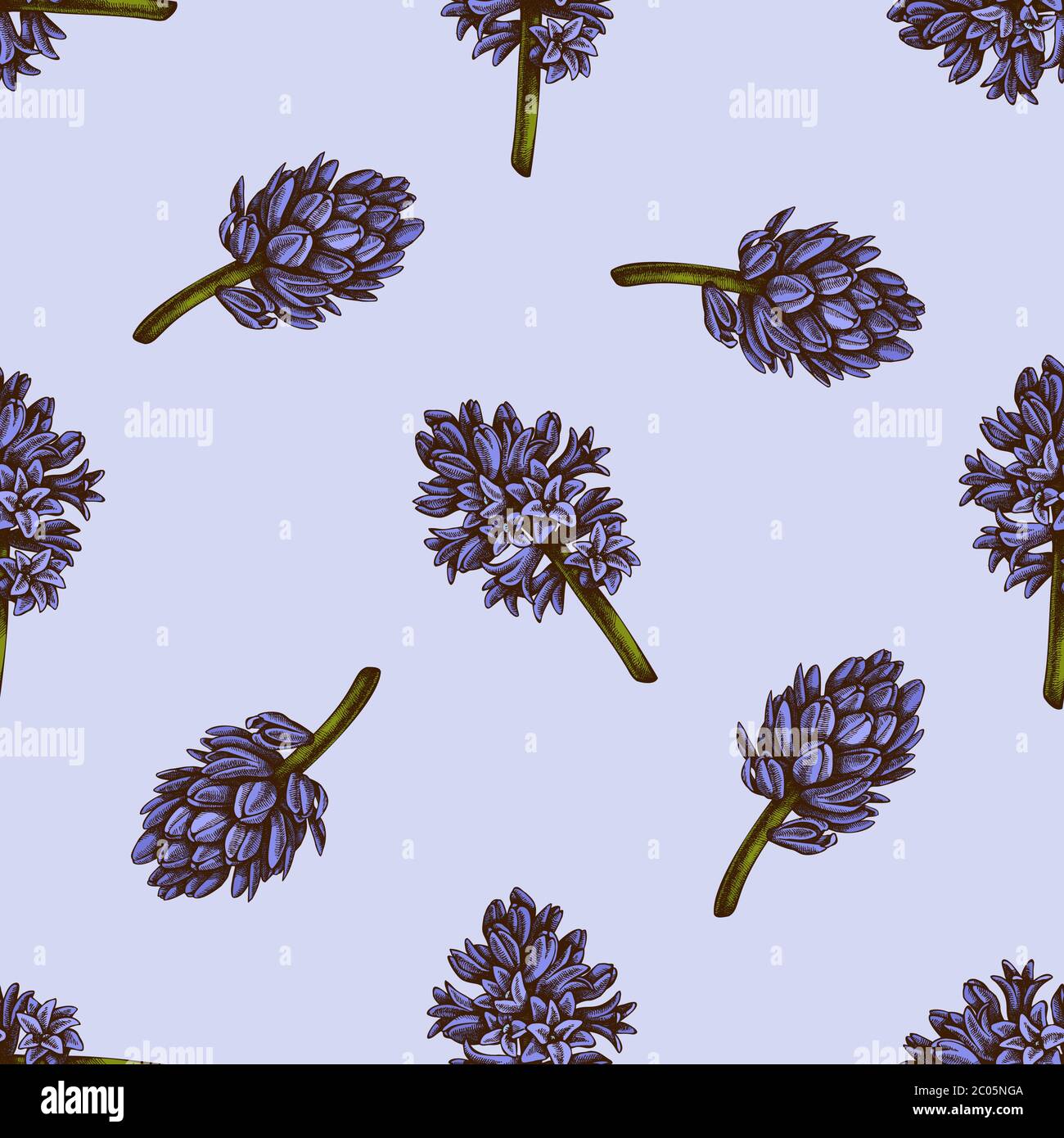 Seamless pattern with hand drawn colored hyacinth Stock Vector Image ...