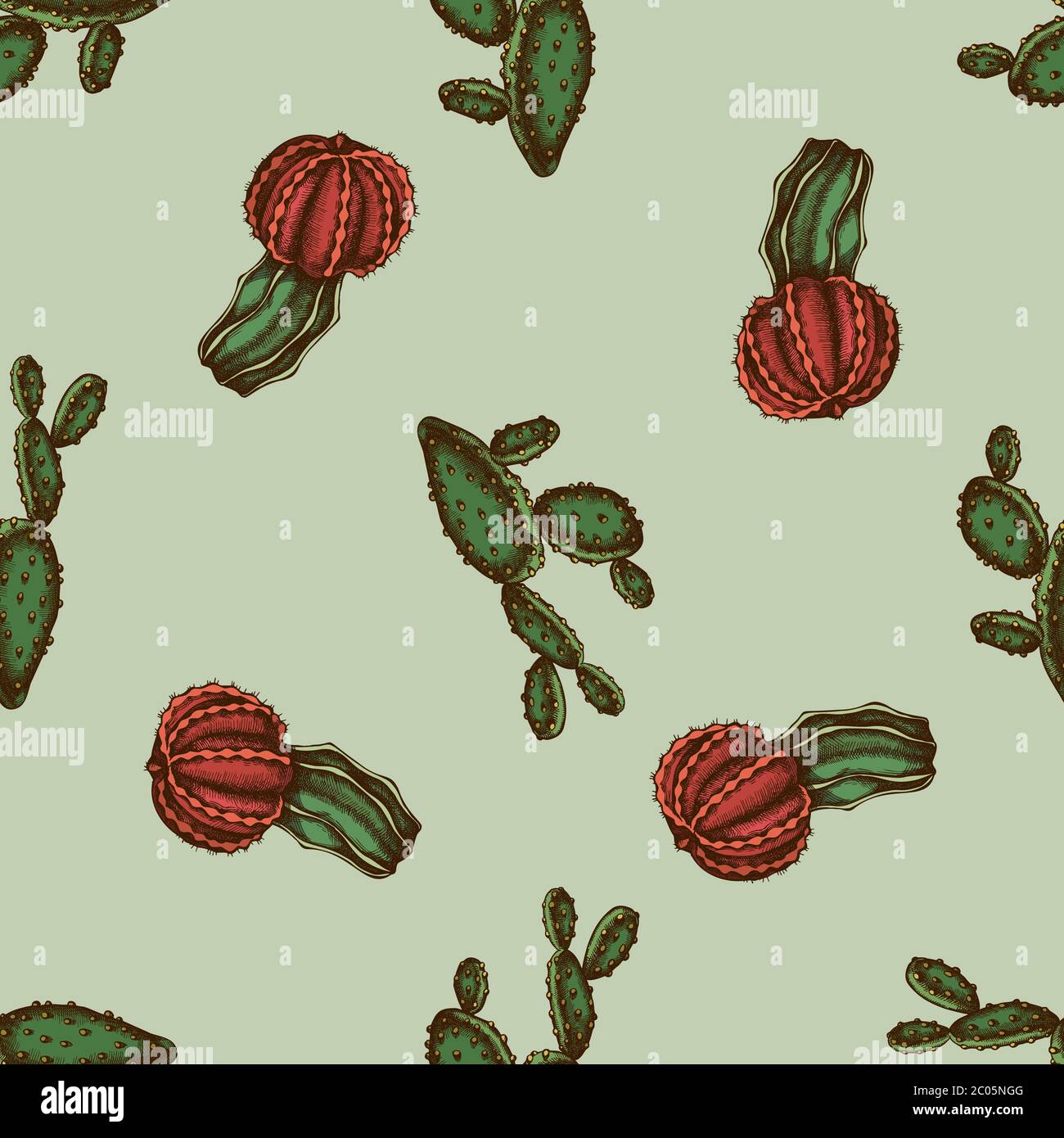 Seamless pattern houseplant plant Stock Vector Images - Alamy