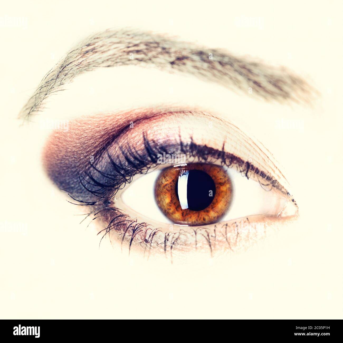 Gray female eye human eye hi-res stock photography and images - Alamy