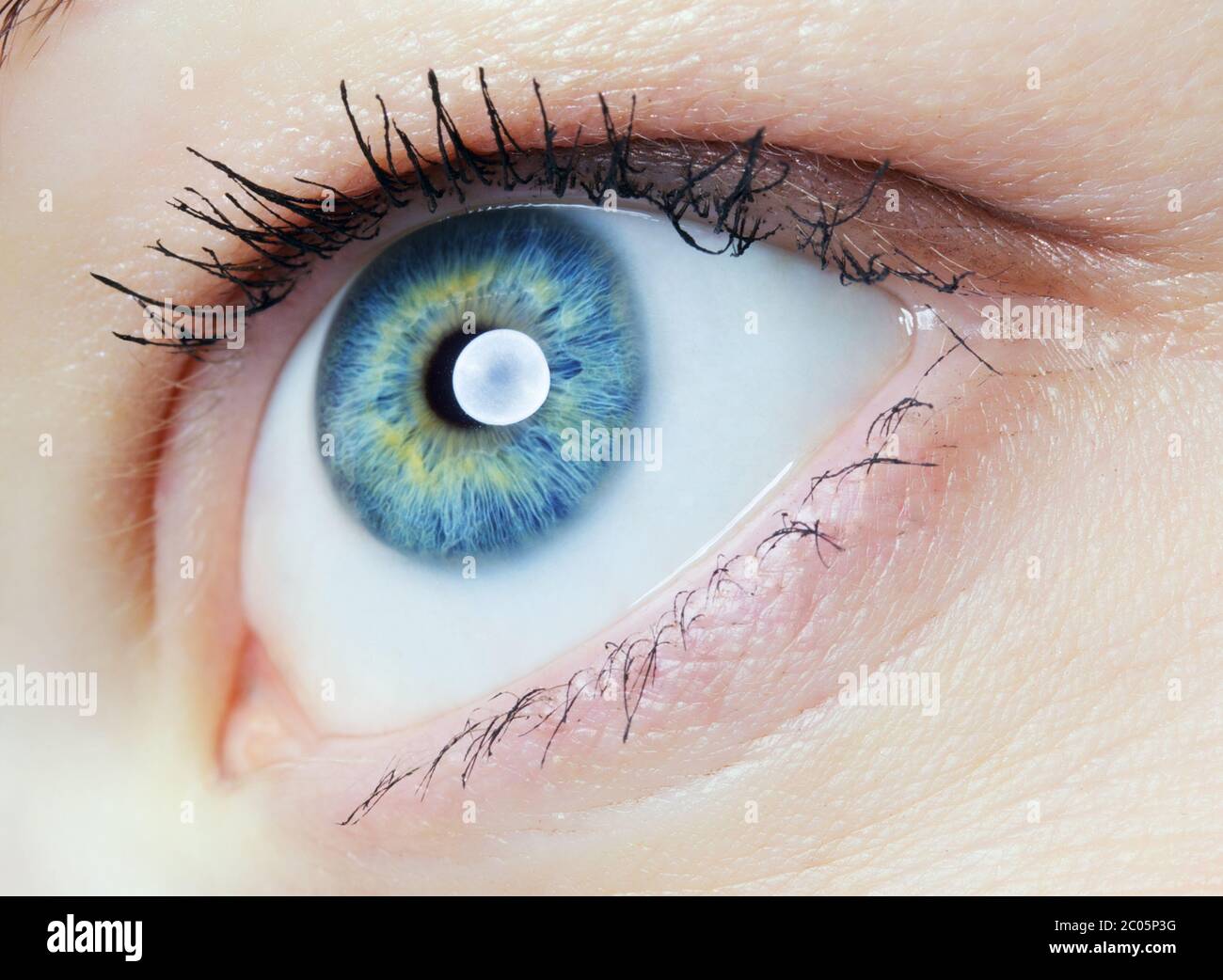 Human eye color hi-res stock photography and images - Alamy