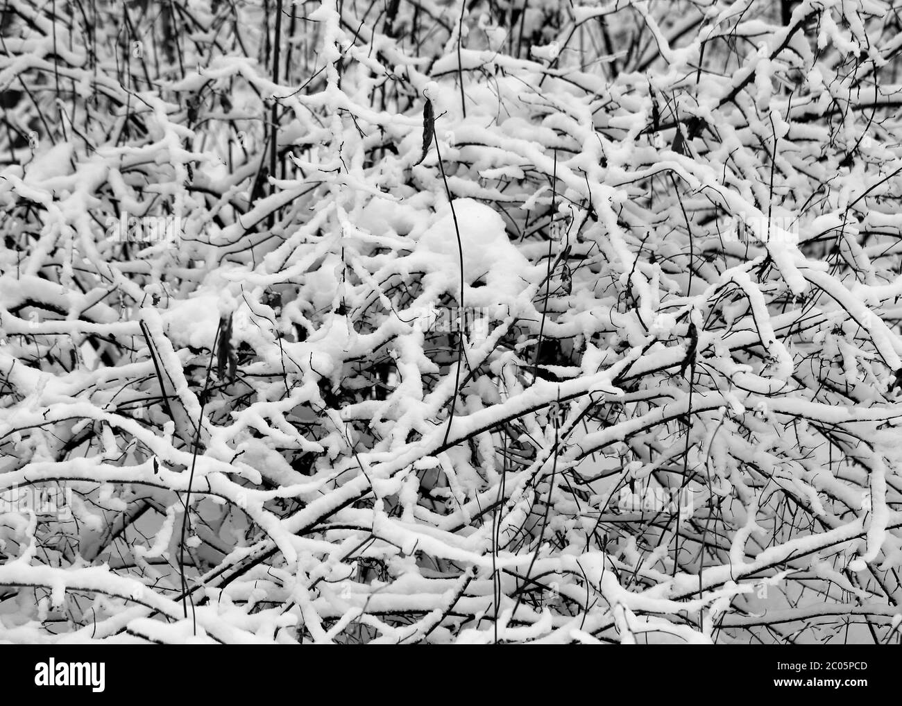 Garden fountain flowers Black and White Stock Photos & Images - Alamy