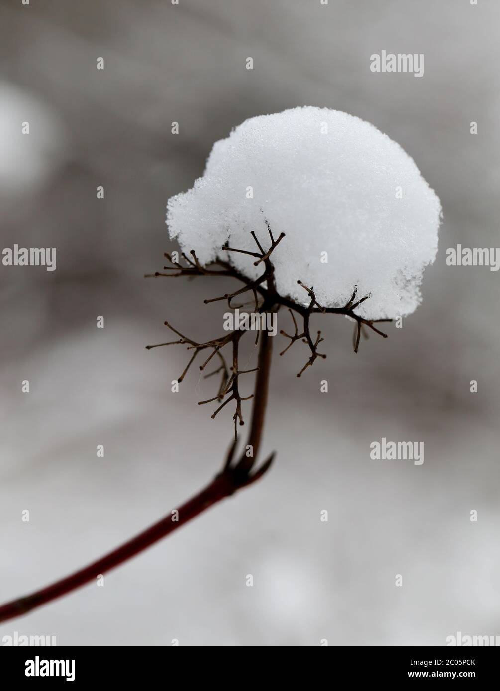 Fountain Stone Flower Stock Photo - Alamy