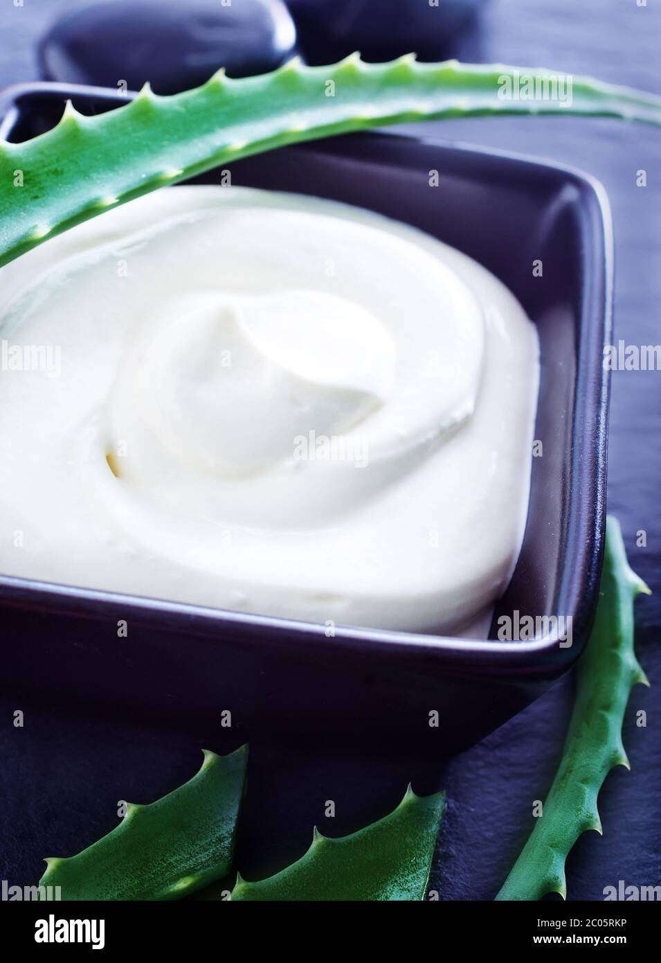Aloe Vera with Lotion Box Stock Photo - Alamy