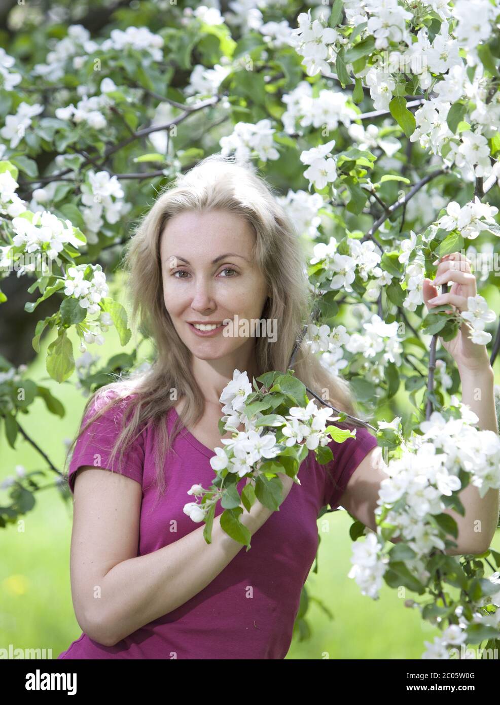 Standing alone tree hi-res stock photography and images - Alamy