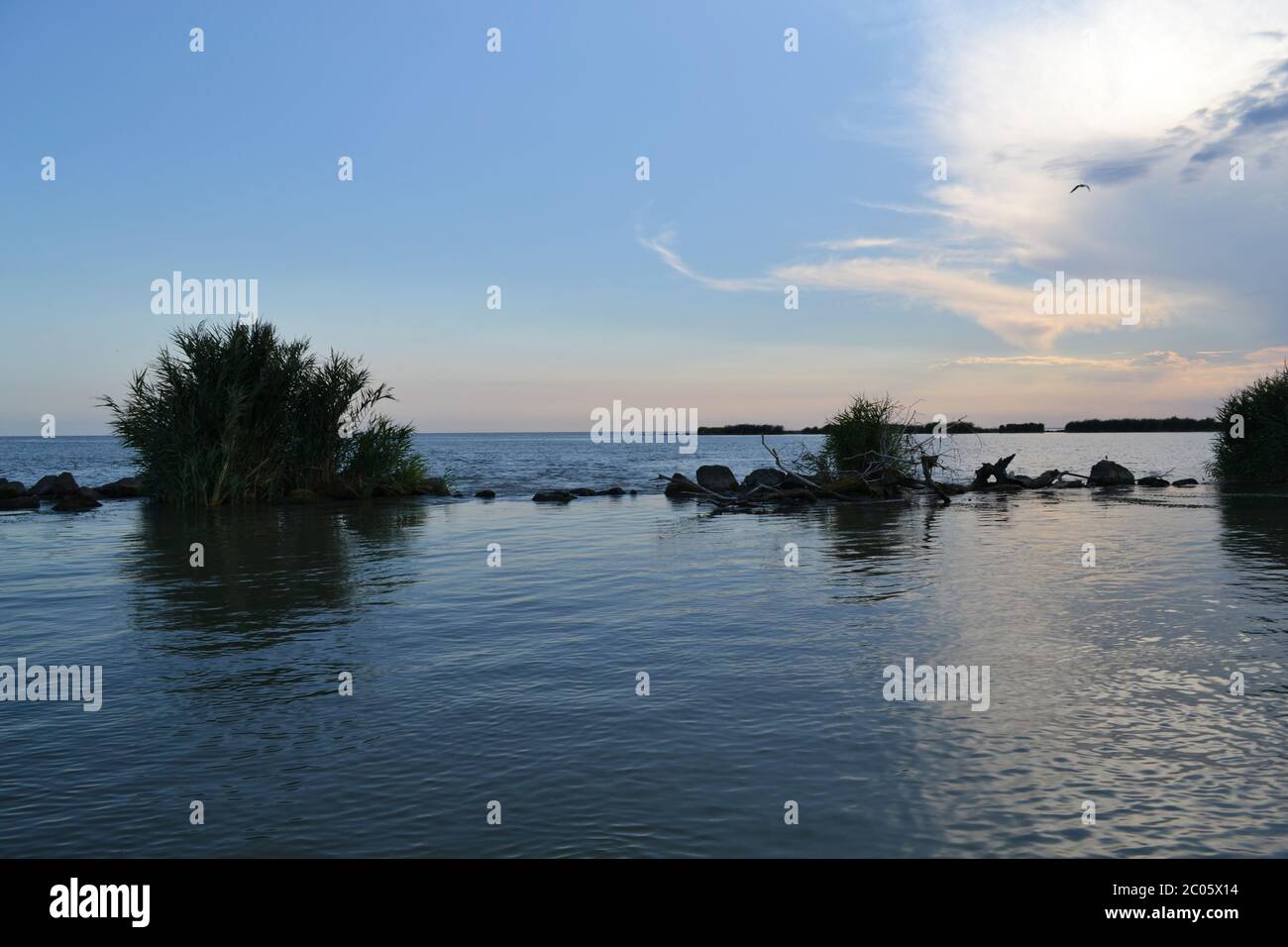 the river meets the sea Stock Photo - Alamy