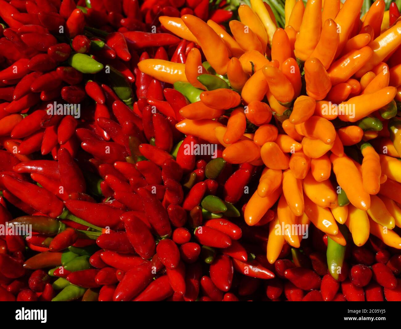 Red little peppers hi-res stock photography and images - Alamy
