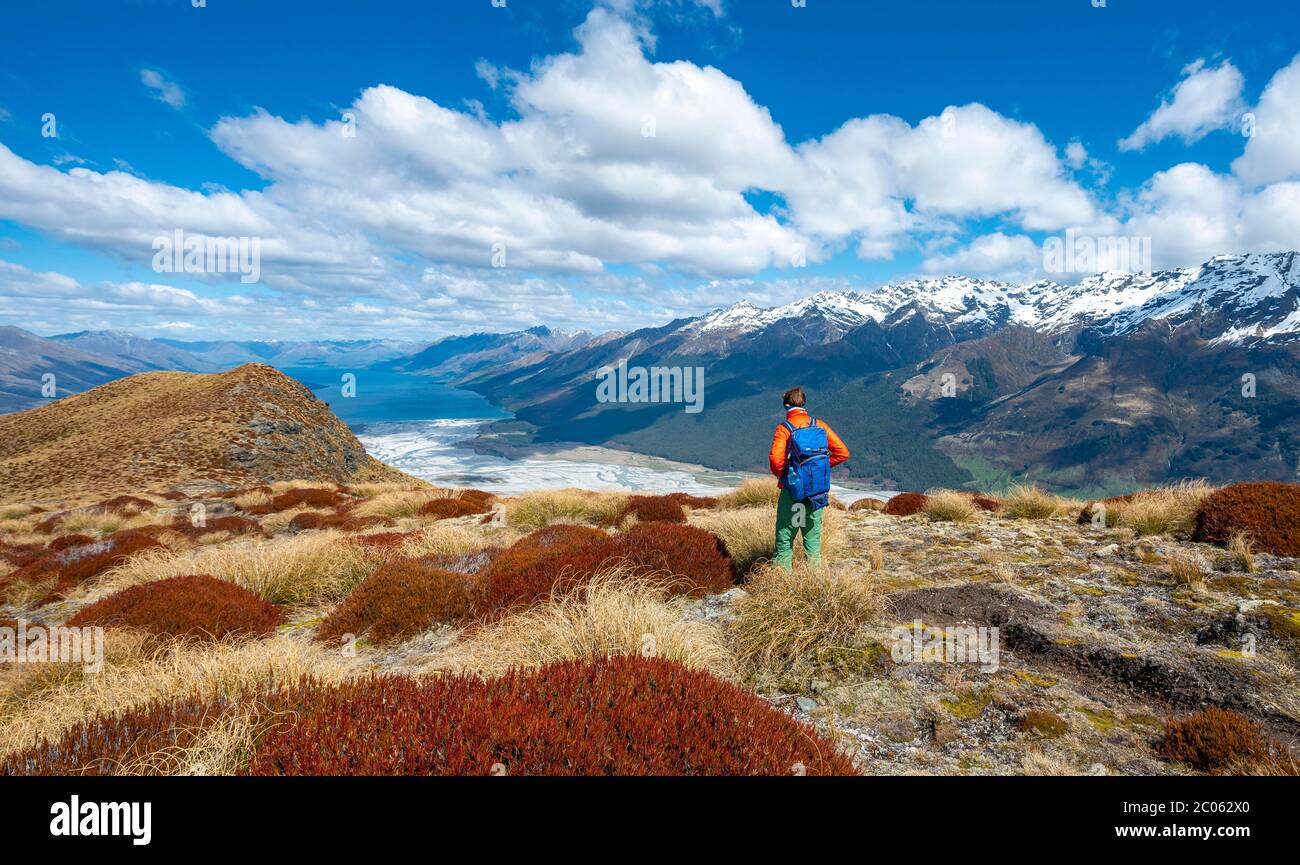 Hiker on the summit of Mount Alfred, views of Lake Wakatipu and ...
