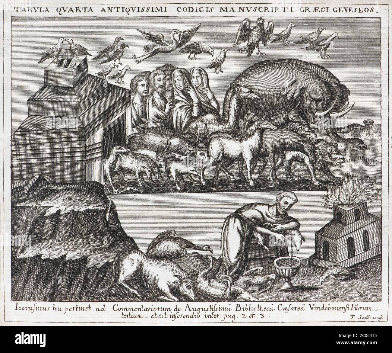 Noah and the animals leave the ark hi-res stock photography and images ...