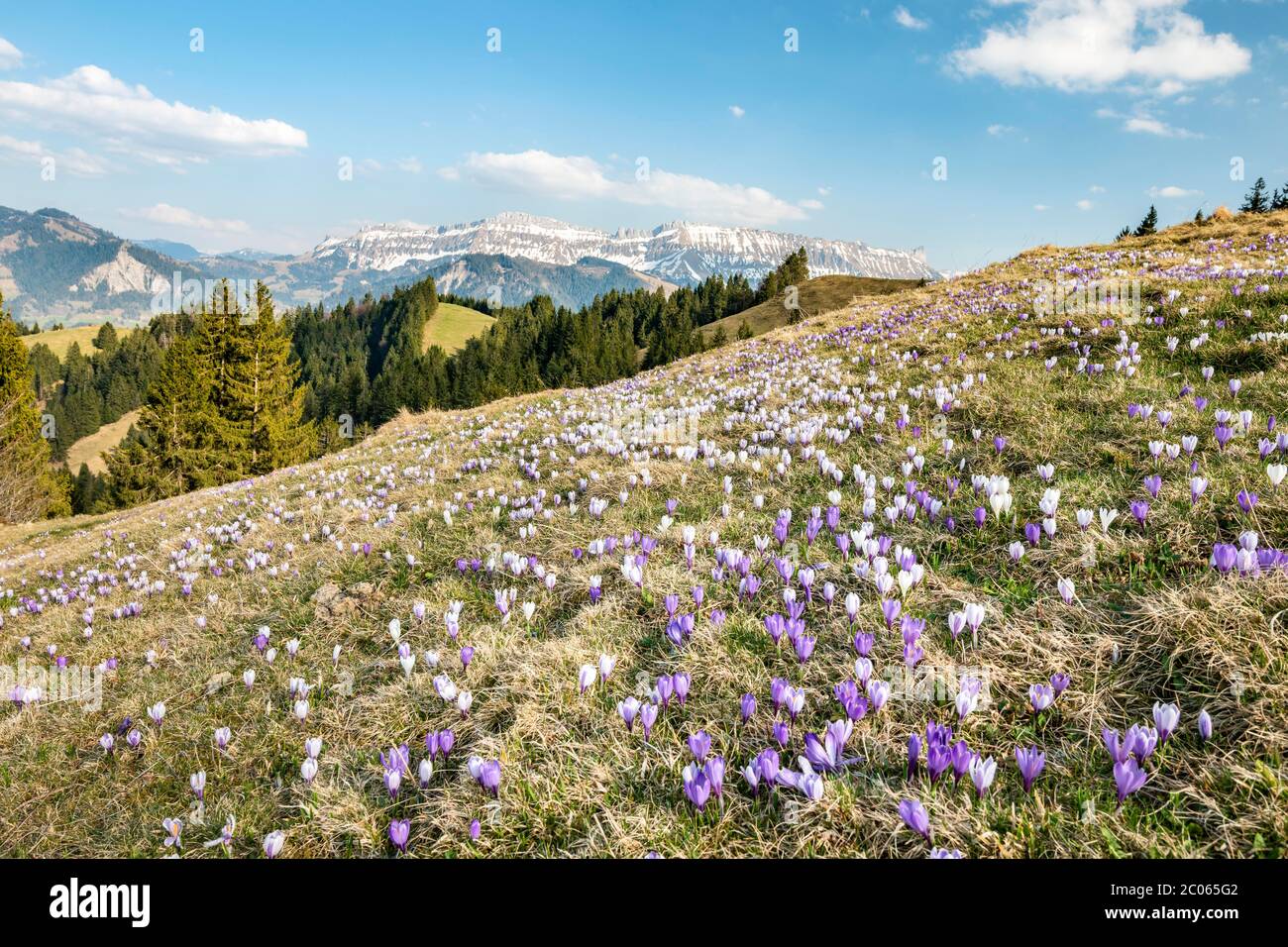 Switzerland mountain landscape hi-res stock photography and images - Alamy