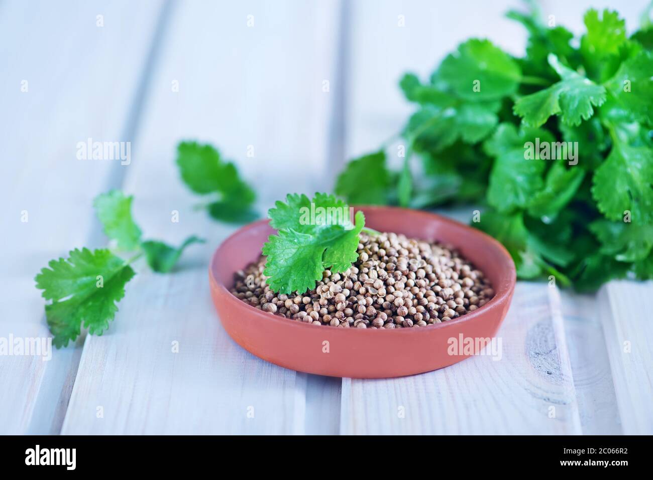 Dried coriander fruits hi-res stock photography and images - Alamy