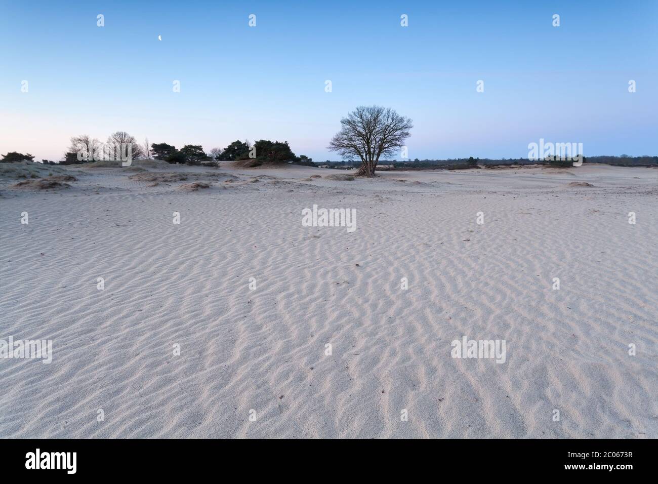 wave pattern on sand and moon Stock Photo - Alamy