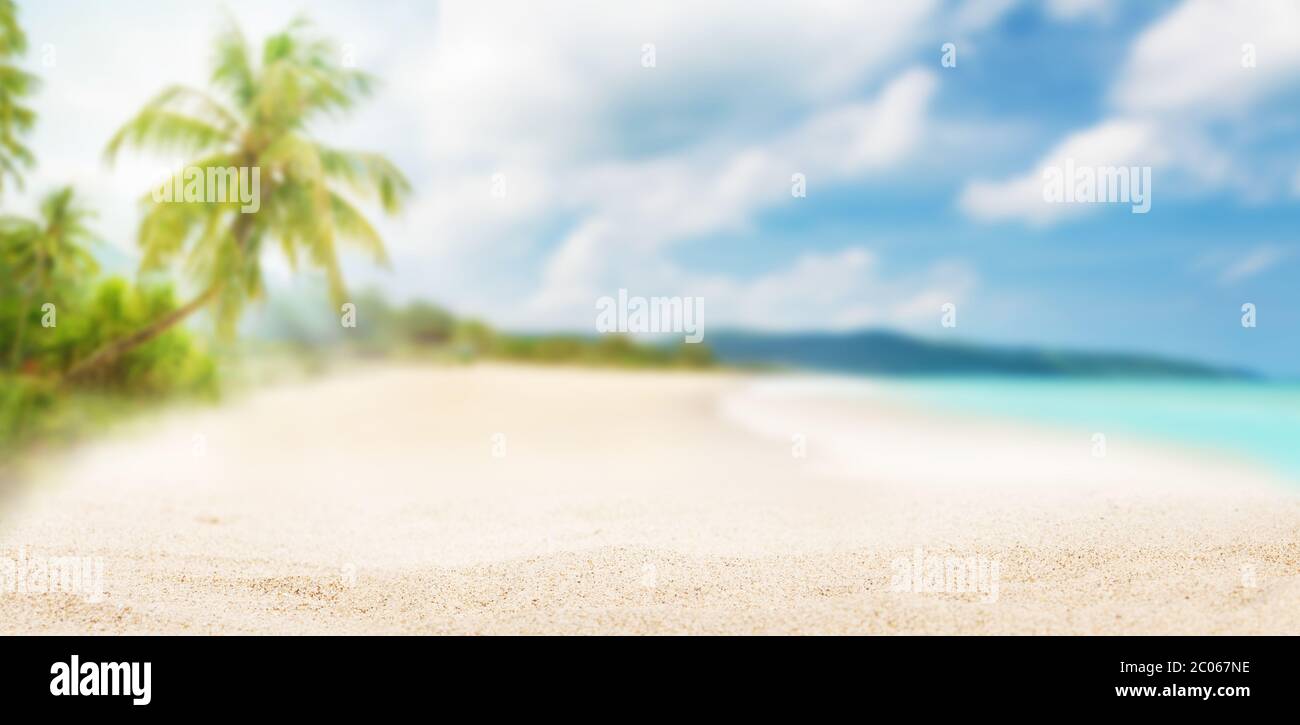 Tropical beach with palms and bright sand. Summer sea vacation and ...