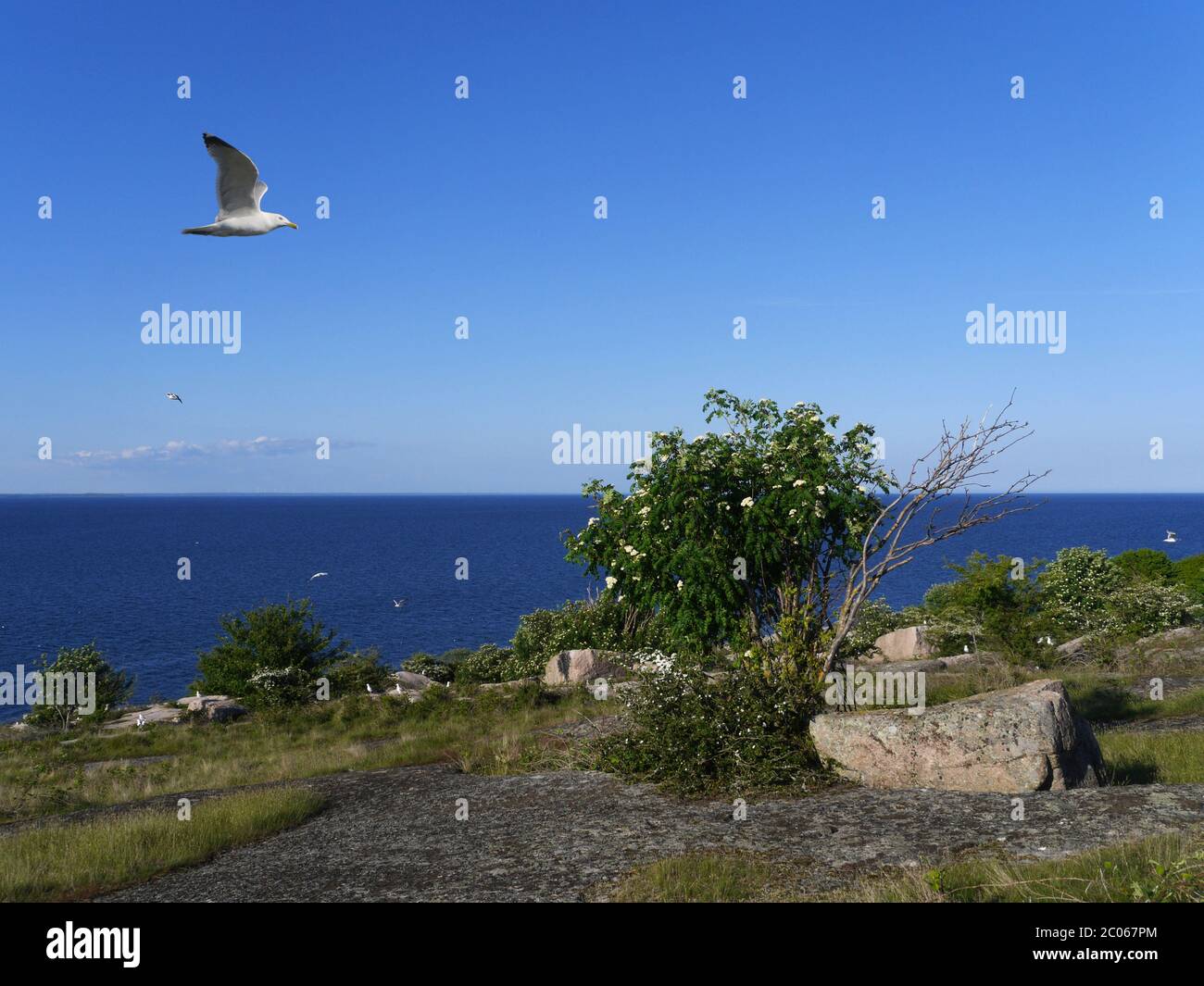 swedish island hanö Stock Photo - Alamy