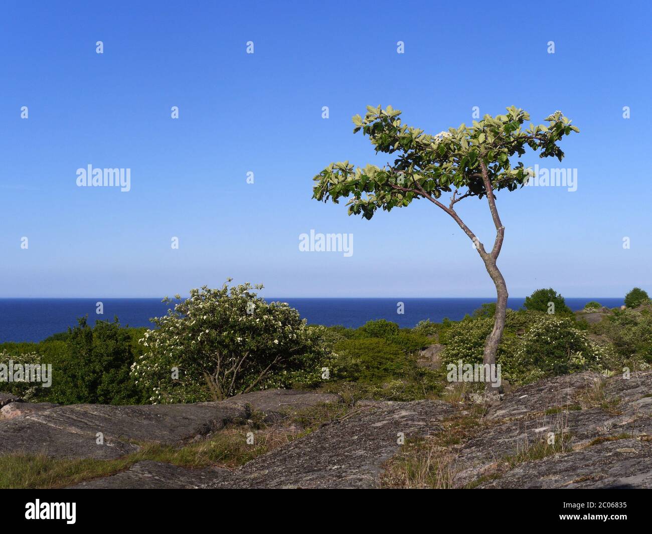 coastal landscape on the swedish island hanö Stock Photo - Alamy