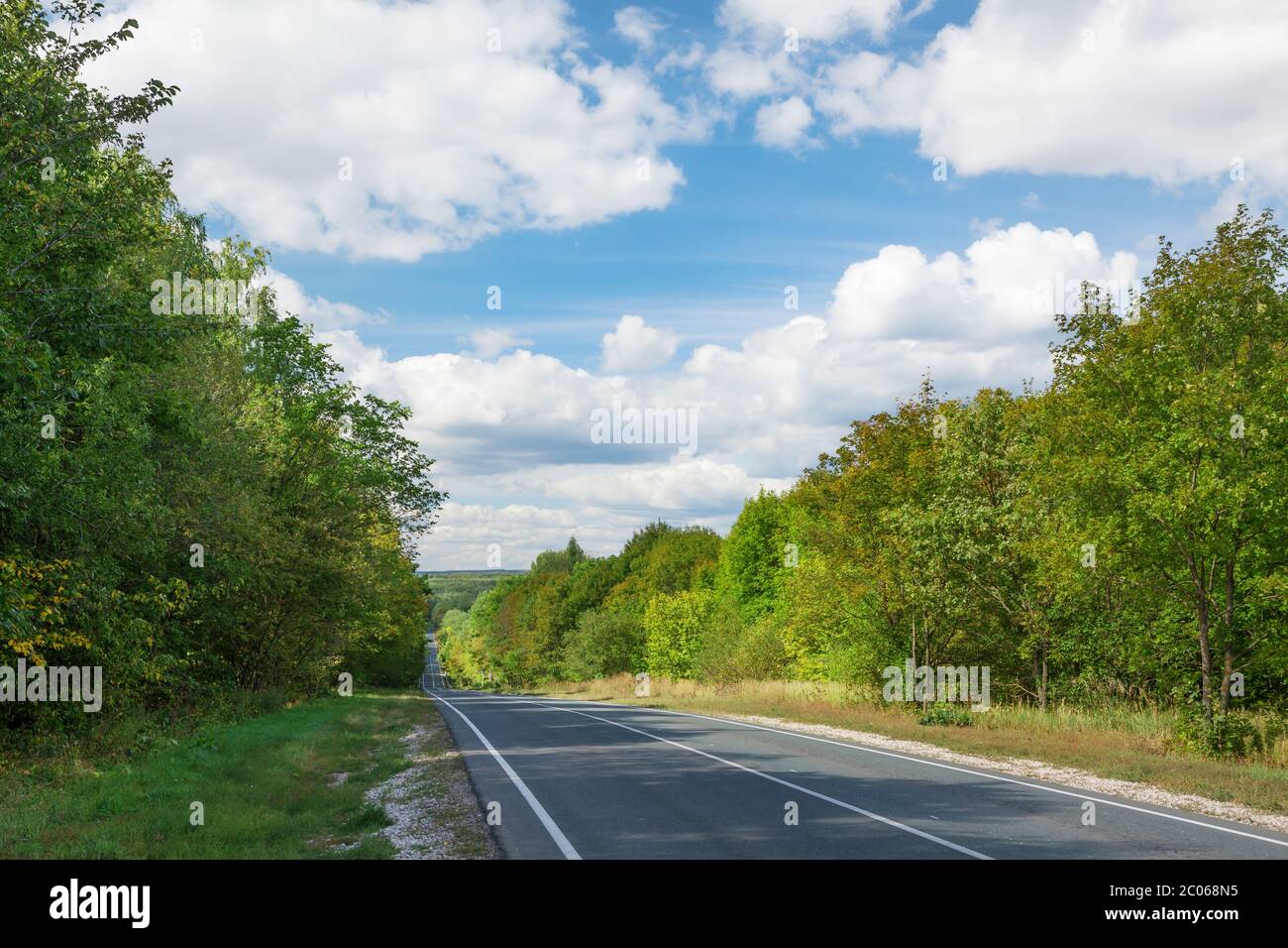 Asphalt road through the forest. Russia countryside landscape Stock ...