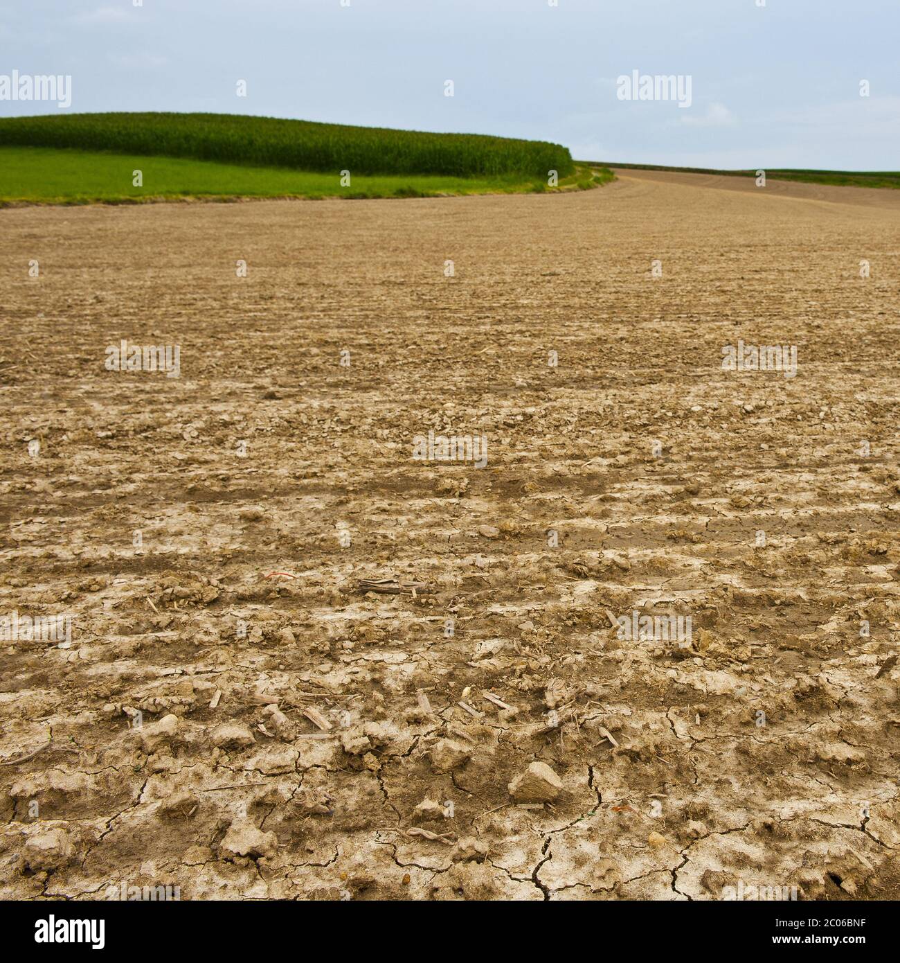 Field plowed corn hi-res stock photography and images - Alamy