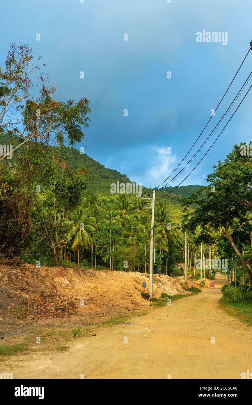 Power line in the jungle. Civilization comes to the wild tropical ...