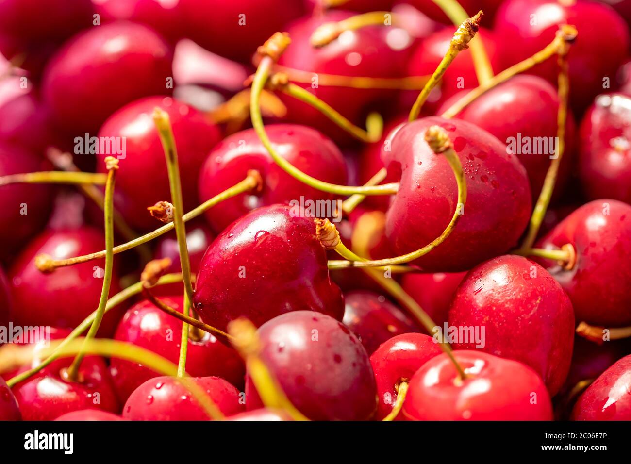 Fresh organic red cherries with stems, fruit Stock Photo - Alamy