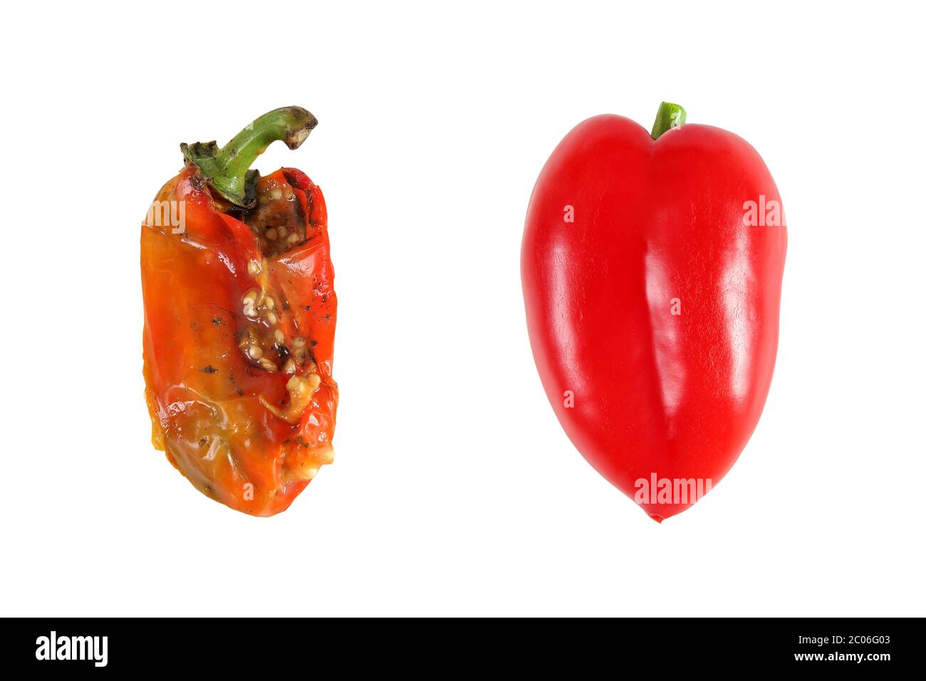 Fresh and rotten pepper isolated on white Stock Photo - Alamy