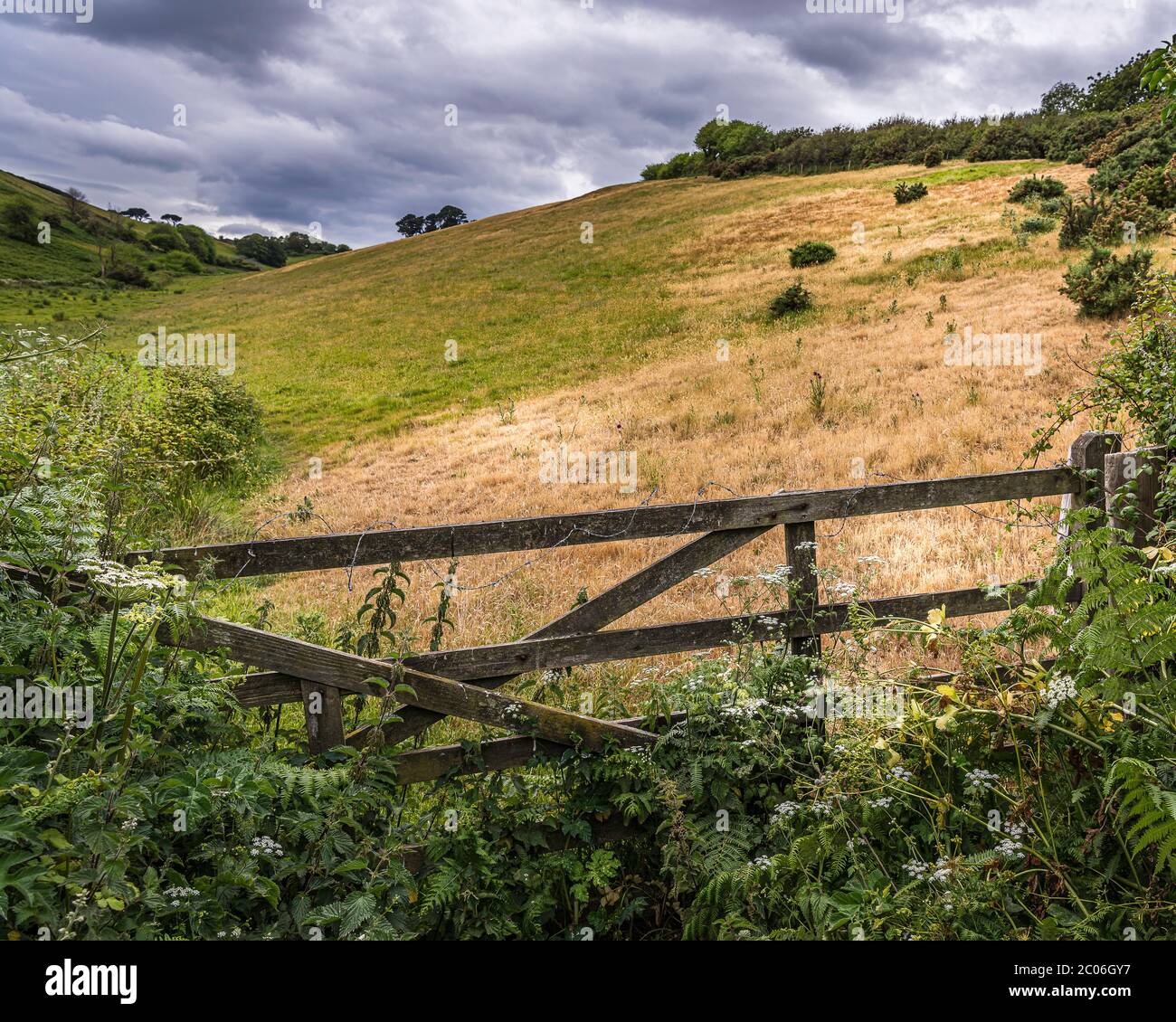 Five bar gate hi-res stock photography and images - Alamy