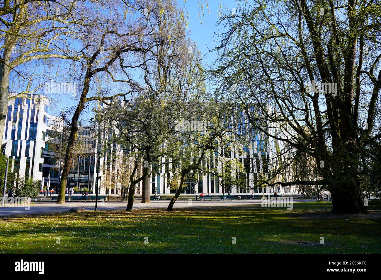 The "Kö-Bogen", seen through the branches of trees in the public park ...