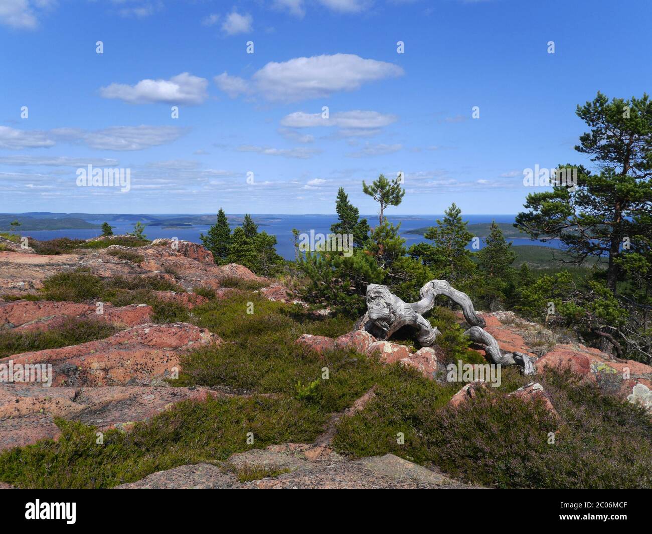landscape at the high coast in sweden Stock Photo - Alamy