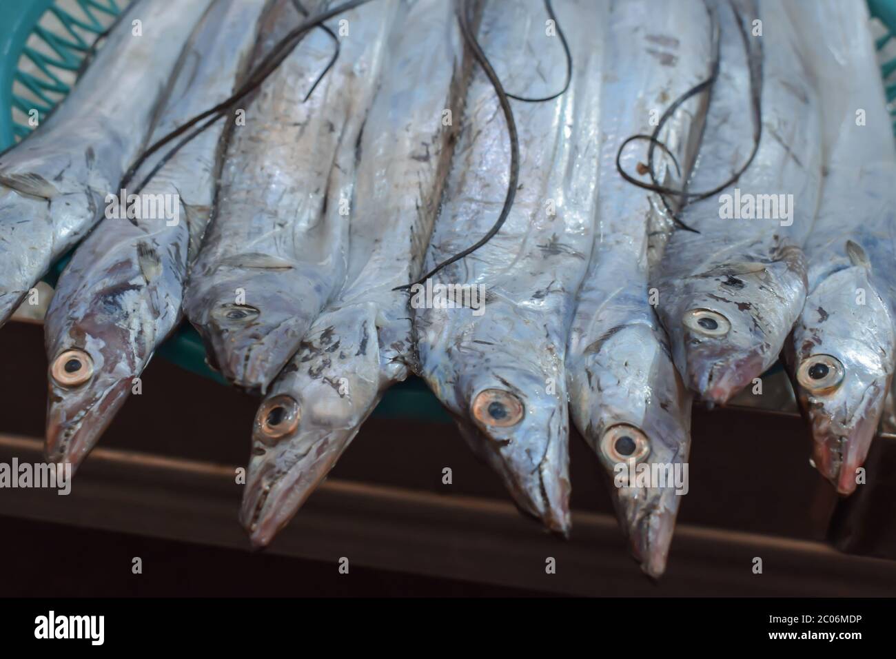 Blue Fresh Fish on a Street Food Market in Seoul South Korea Stock ...