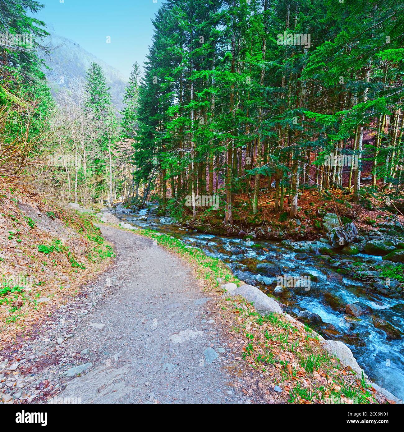 Forest road construction hi-res stock photography and images - Alamy