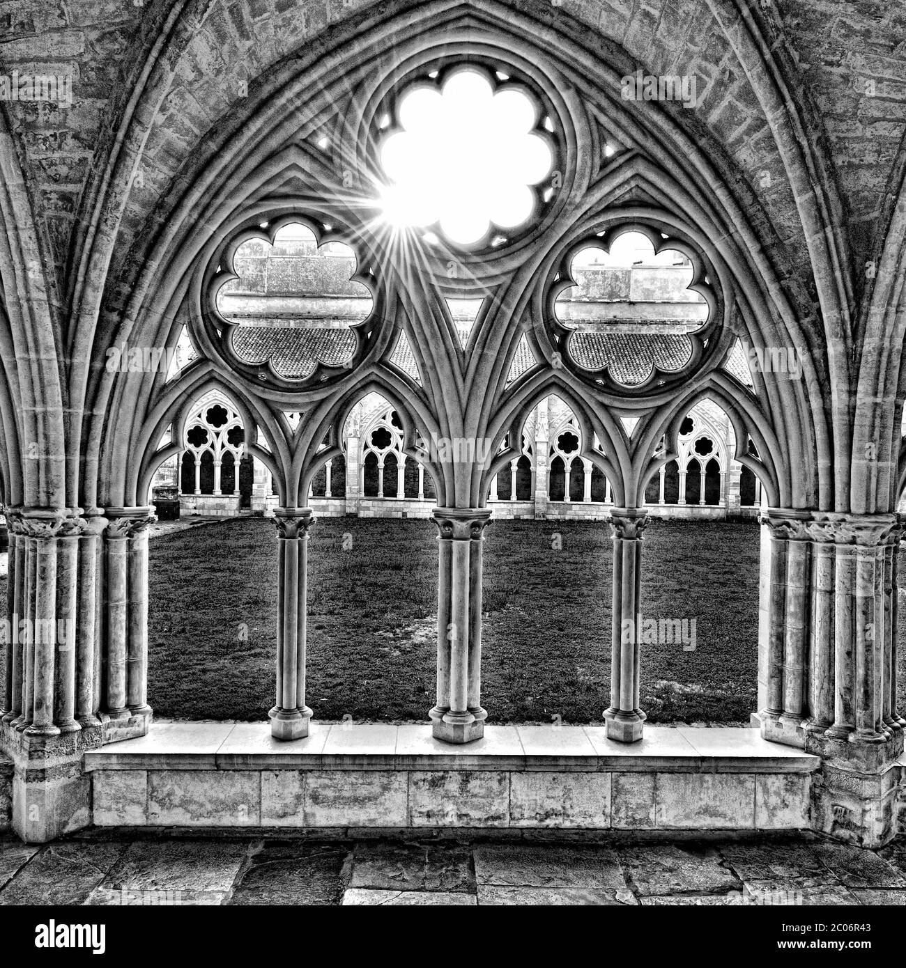 Grass shadow patterns hi-res stock photography and images - Alamy